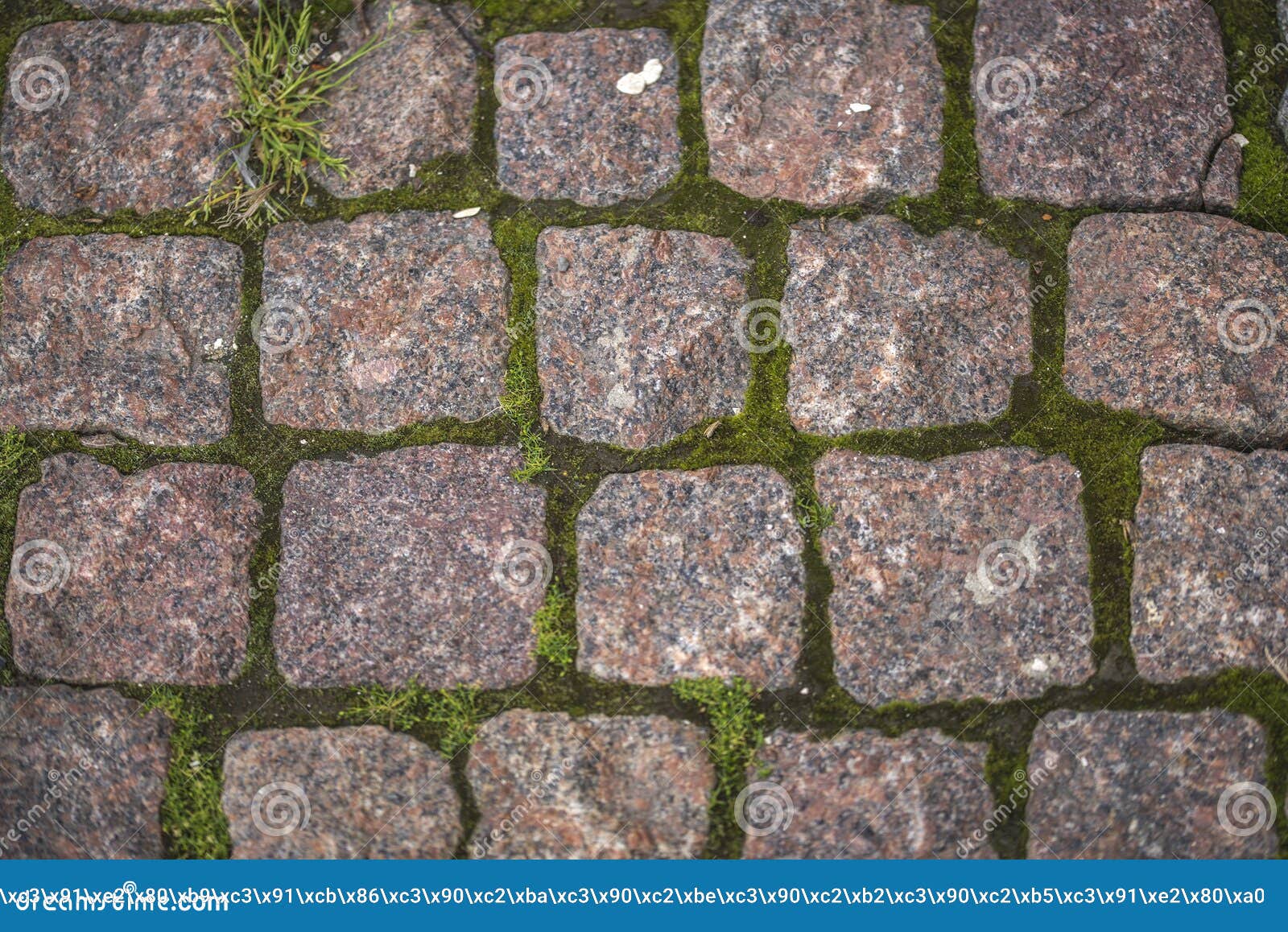 The Texture of Paving Slabs To Create a Rounded Shape Stock Image ...