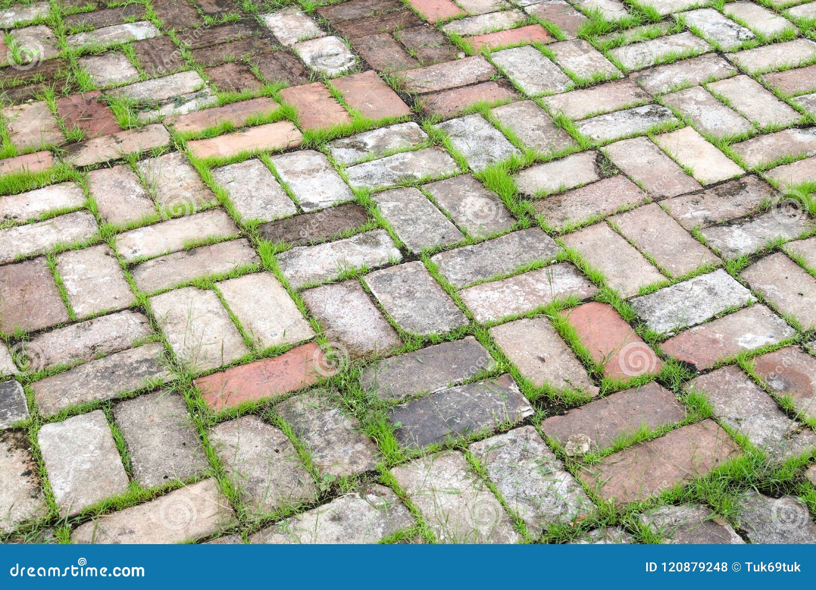 Texture of a Paving Stone Track on a Green Grass Stock Photo - Image of ...