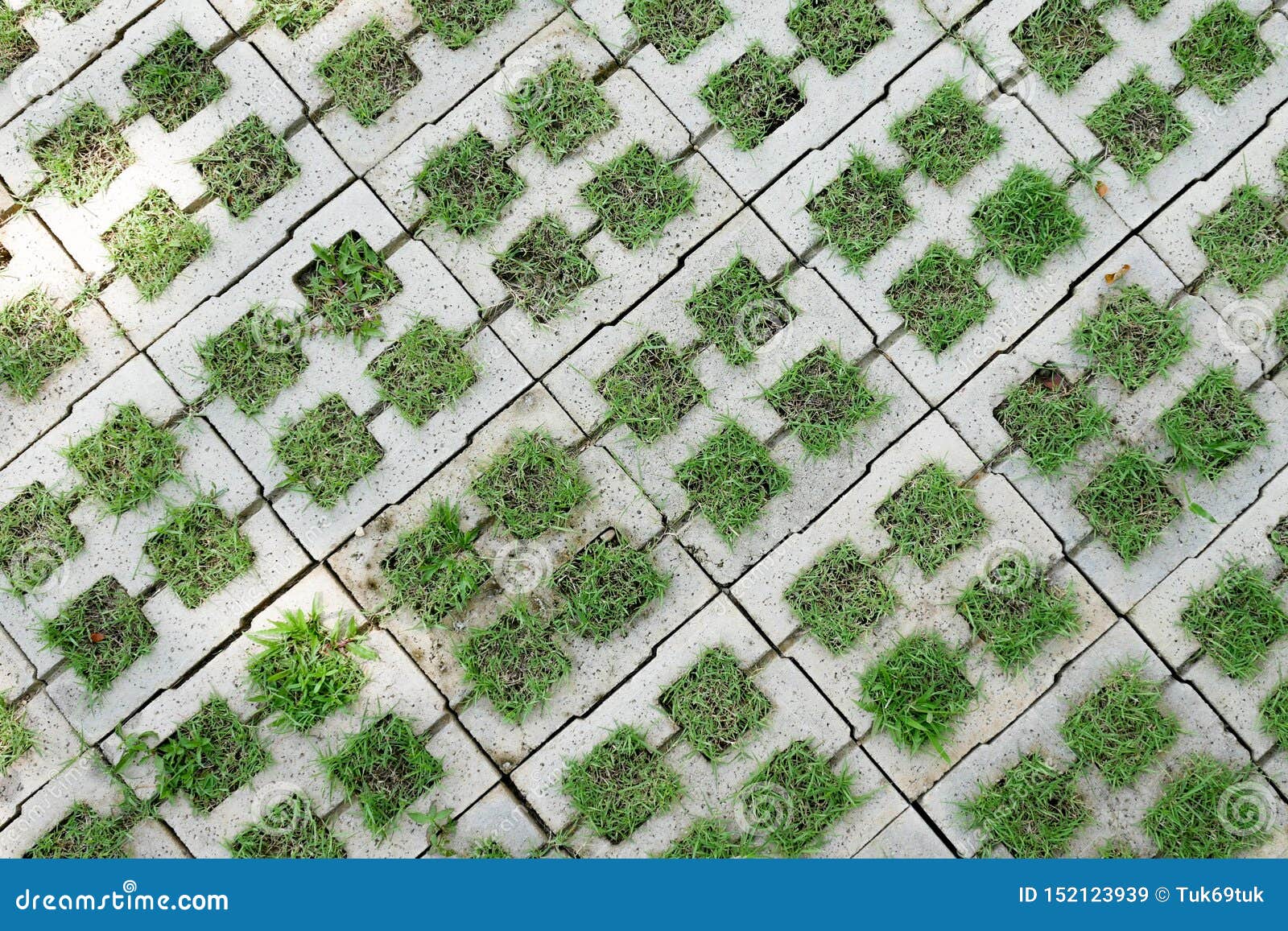 Texture of a Paving Stone Track on a Green Grass Stock Image - Image of ...