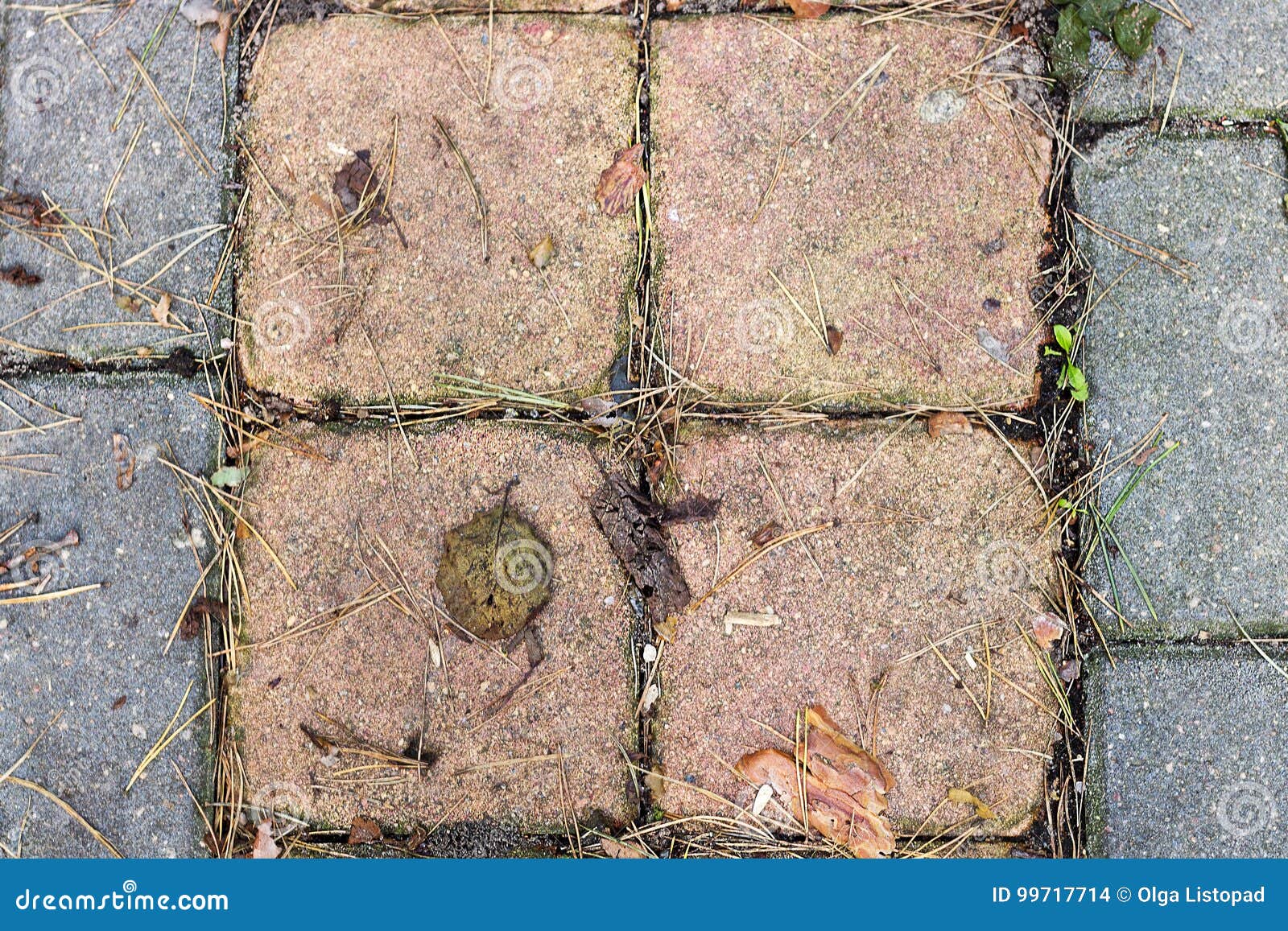 Texture Paving Stones with Grass. Top View Stock Photo - Image of ...