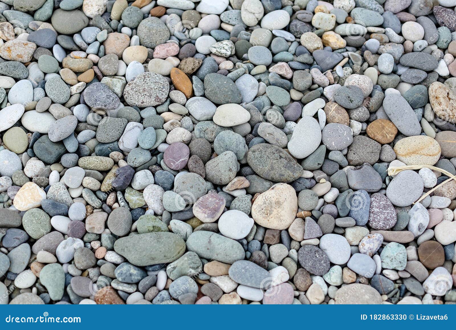 Texture of pebble beach stock photo. Image of crushed - 182863330