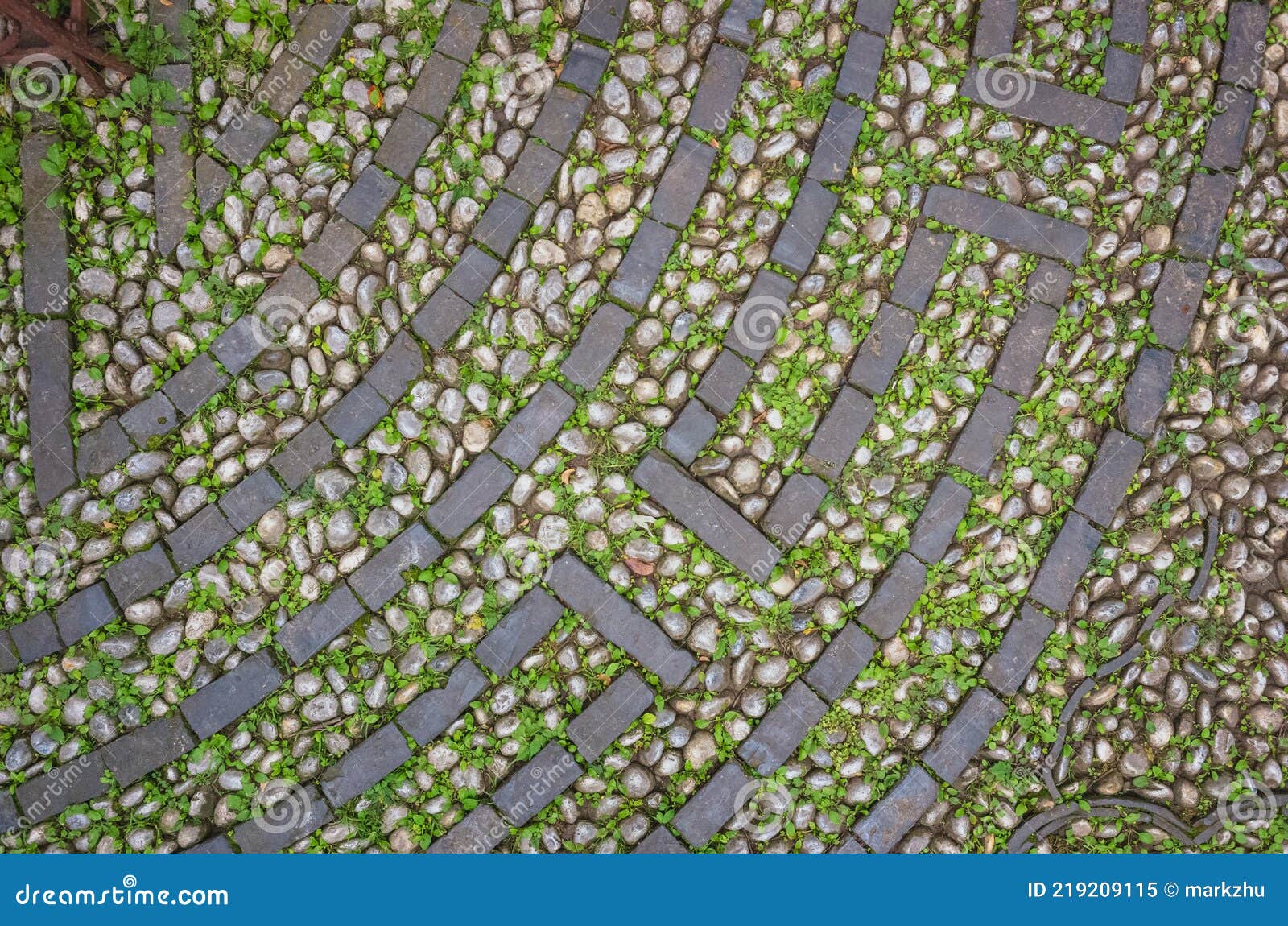 Texture Of Pebble Paving. Gray Paving Made Of Pebble Stock Photography ...