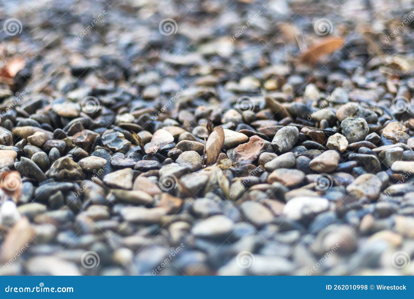 Texture of Pebbles or Small Rocks on the Ground Stock Photo - Image of ...