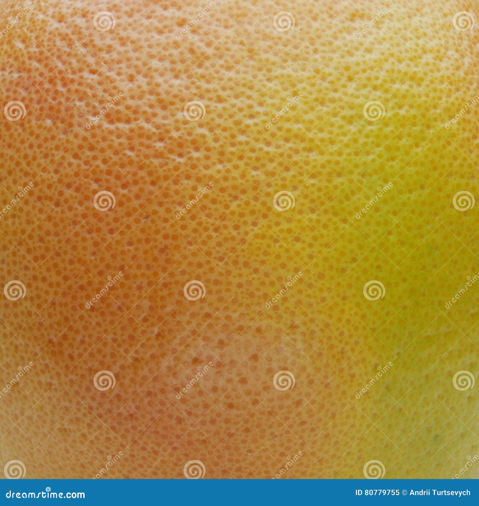 The Texture of the Peel of Grapefruit. Stock Image - Image of food ...