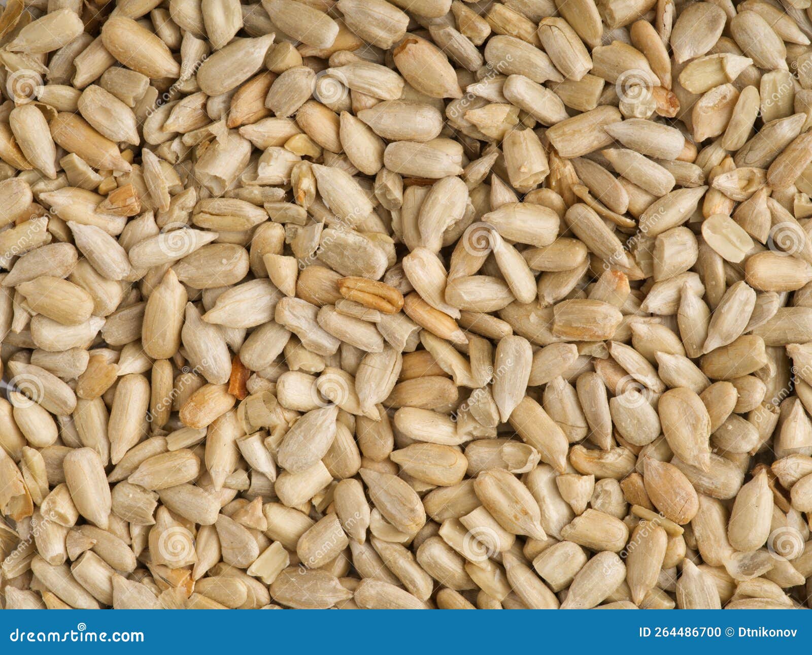The Texture of Peeled Sunflower Seeds. Close Stock Photo - Image of ...