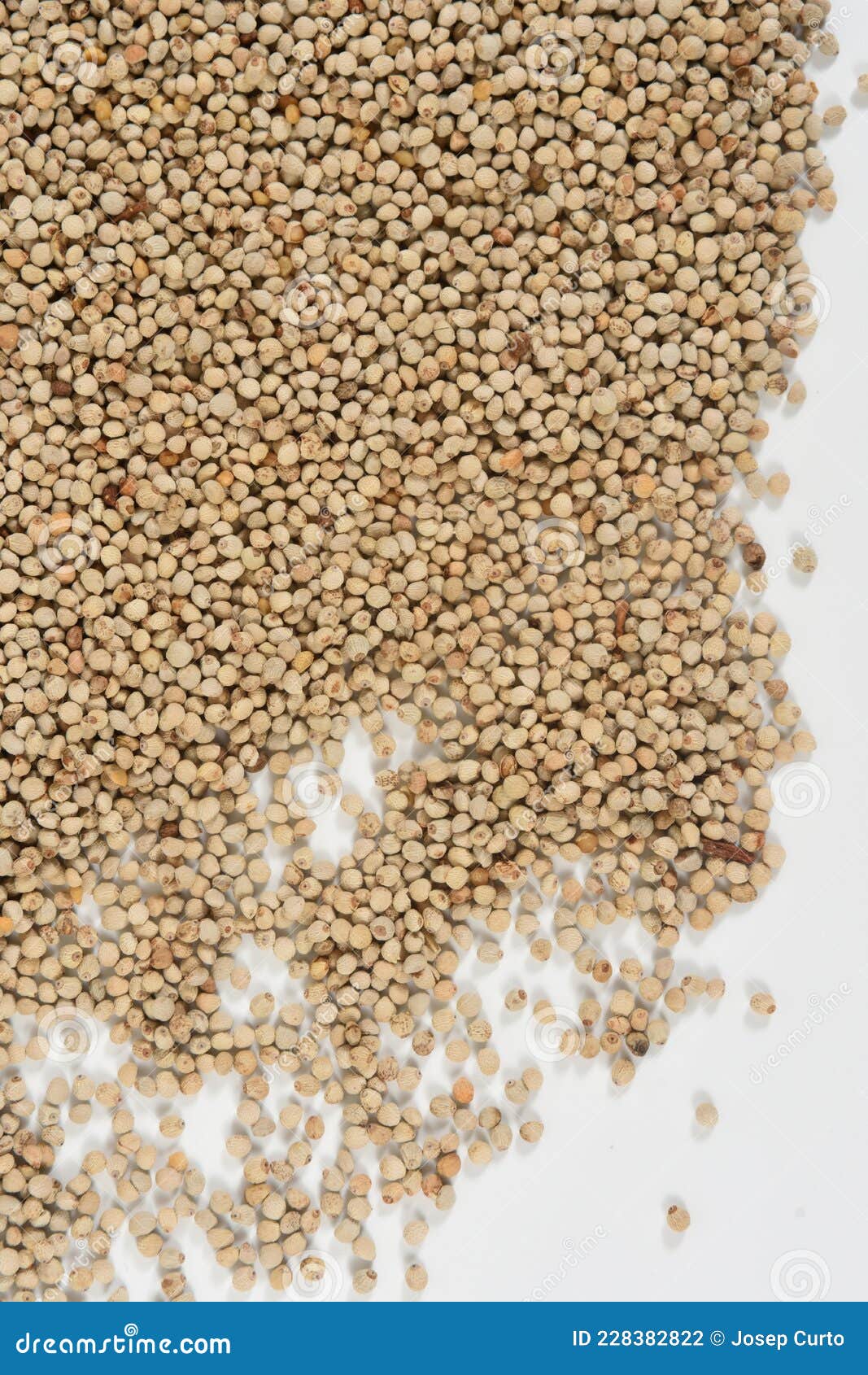 Perilla Seed Stock Image | CartoonDealer.com #84920563