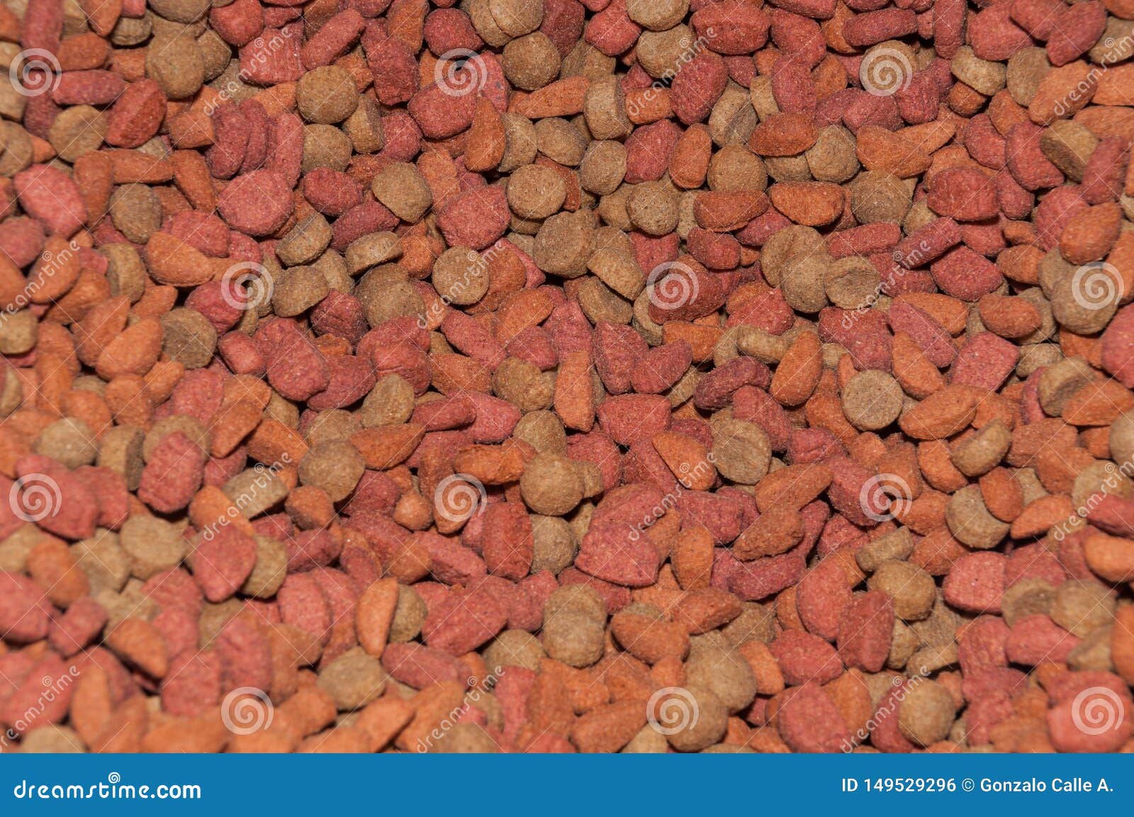 Texture, pet food dog care stock photo. Image of bowl - 149529296