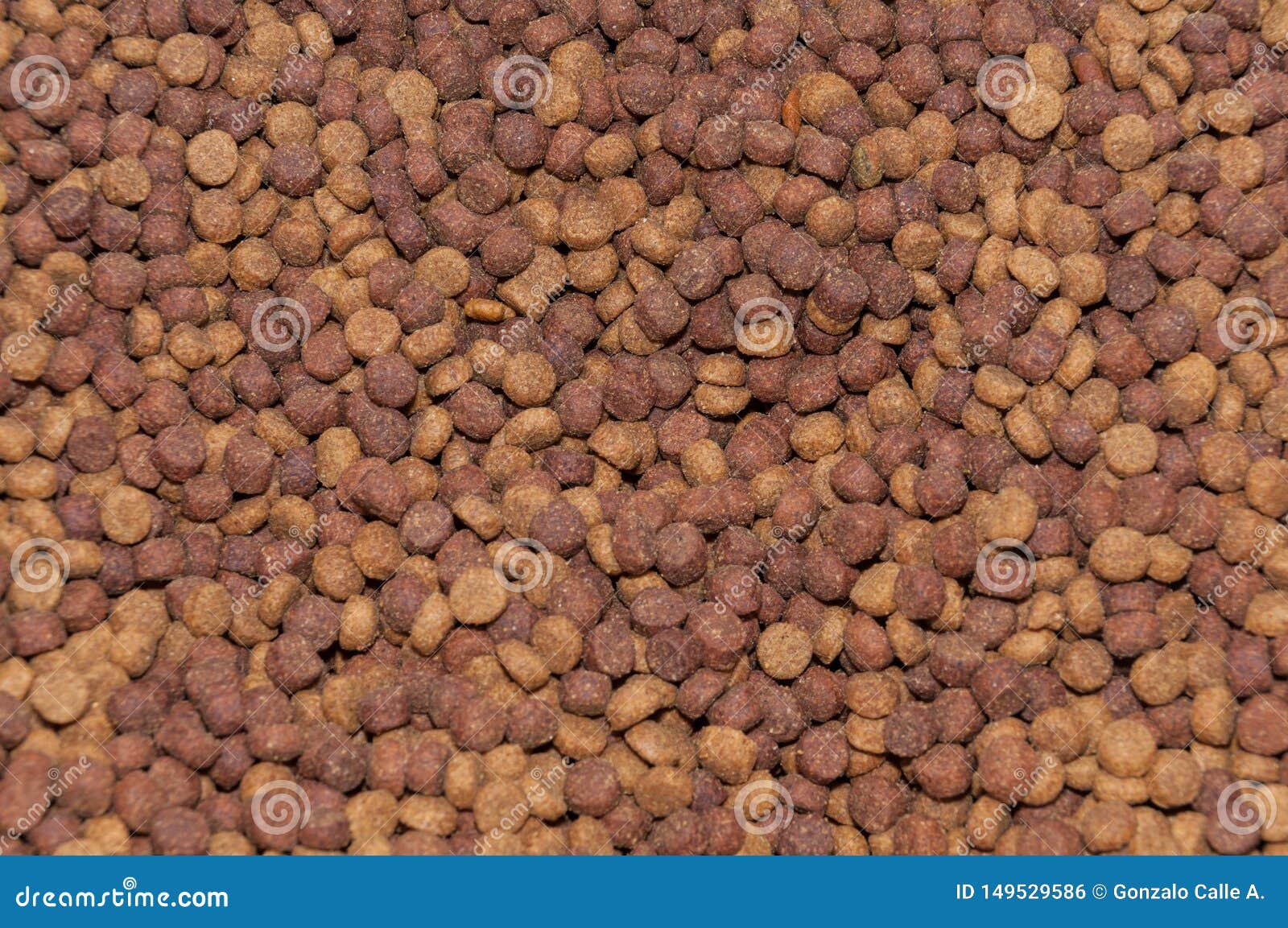 Texture, pet food dog care stock photo. Image of closeup - 149529586