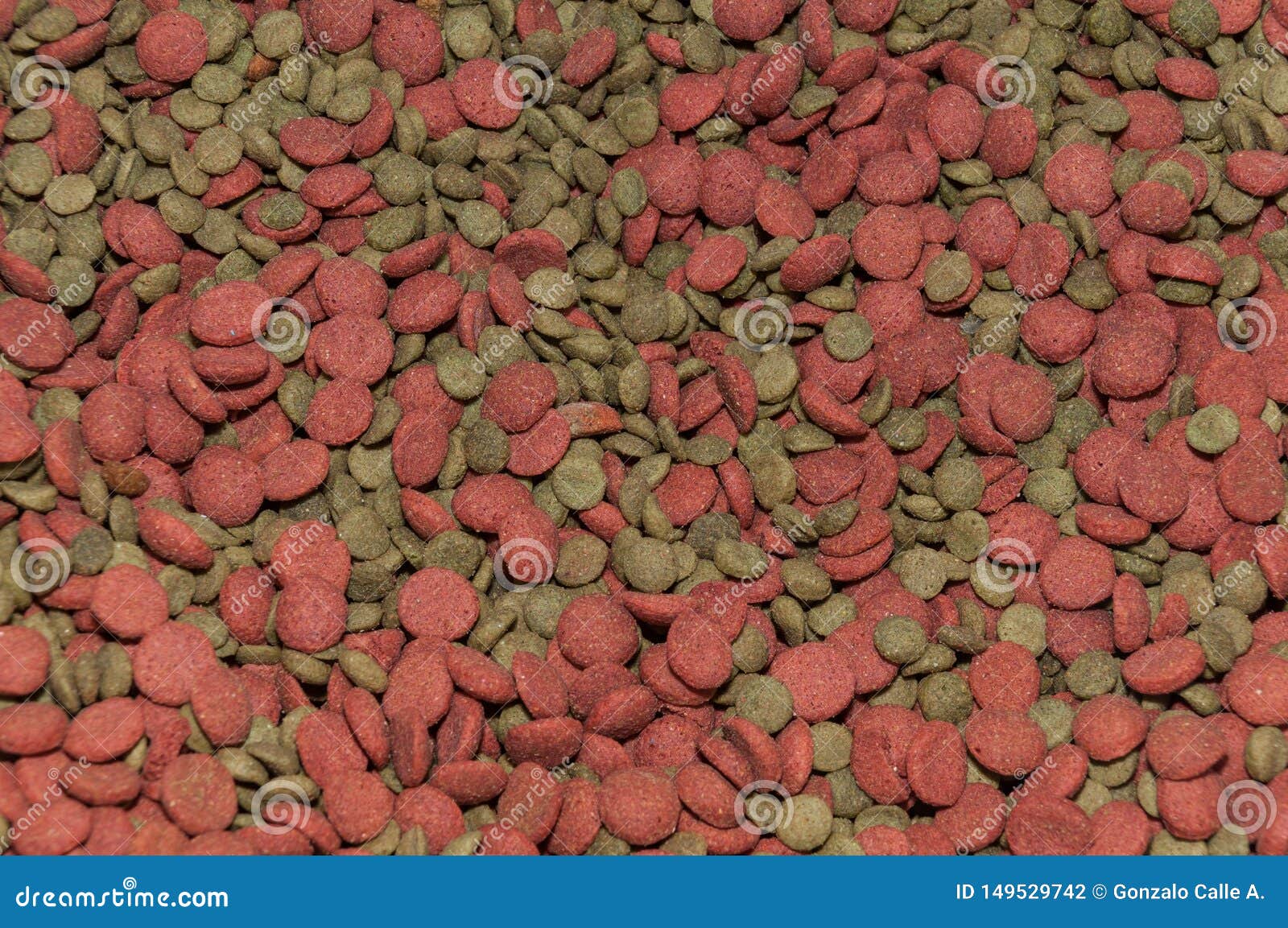 Texture, pet food dog care stock photo. Image of orange - 149529742