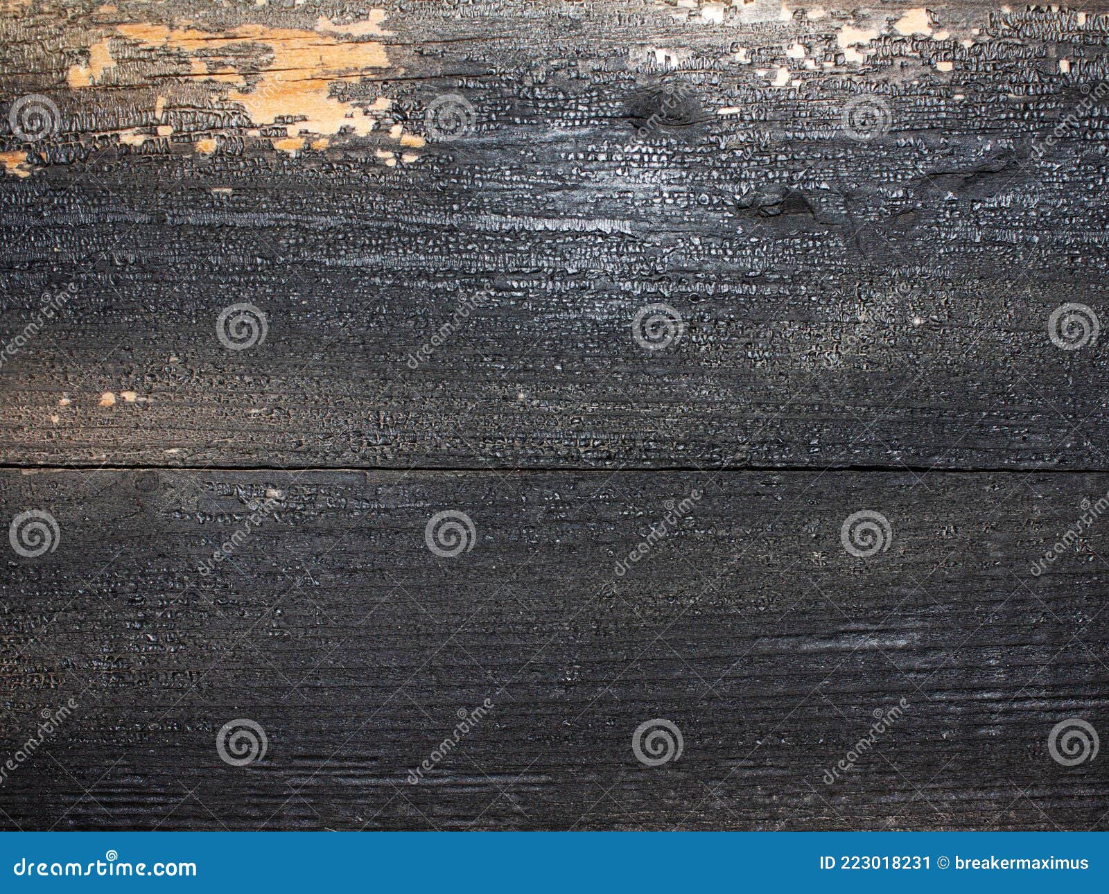 Texture Photo of Brushed Burned Wood Plank Stock Image - Image of bark ...