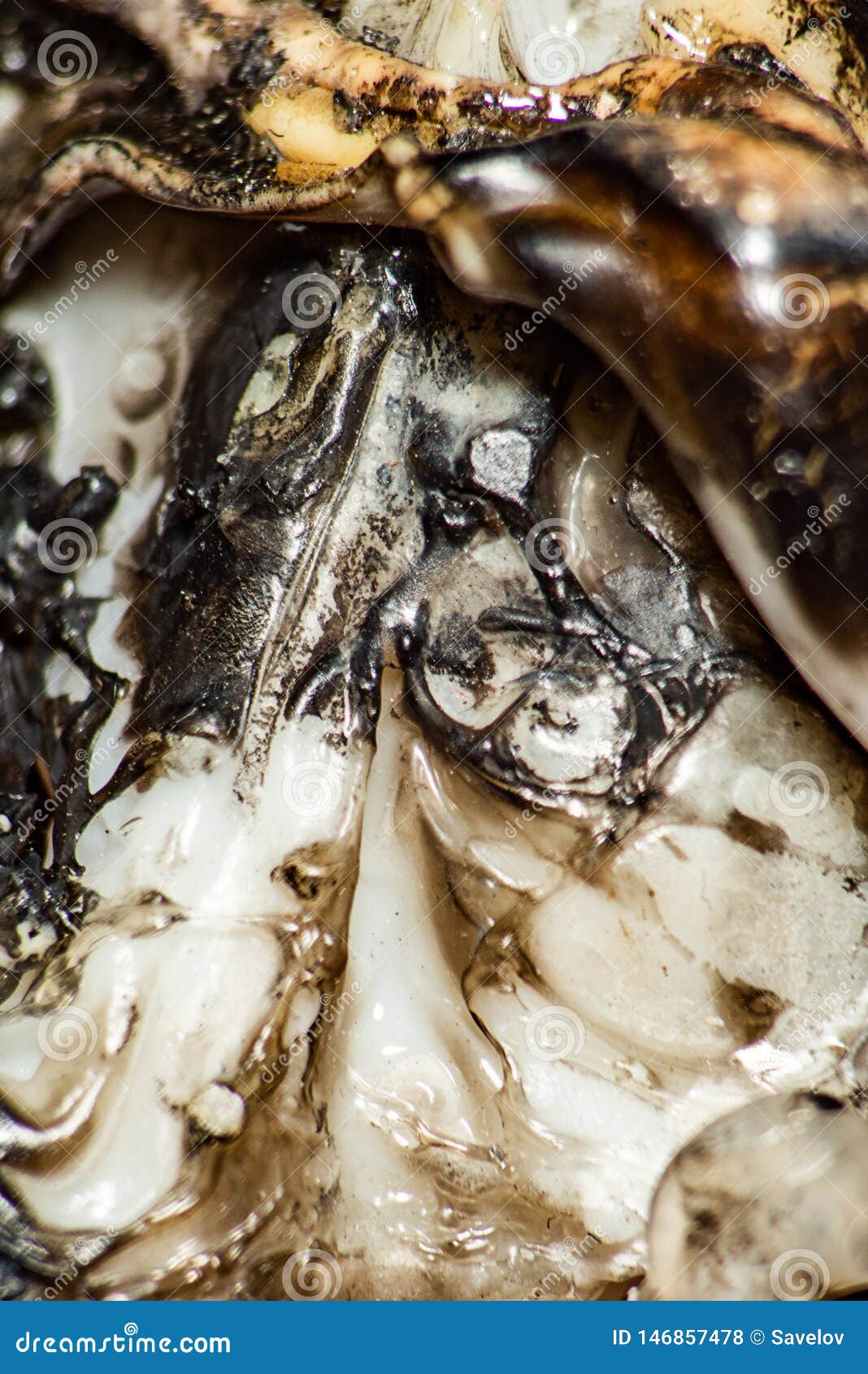 The Texture of a Piece of Burnt Plastic Stock Photo - Image of garbage ...