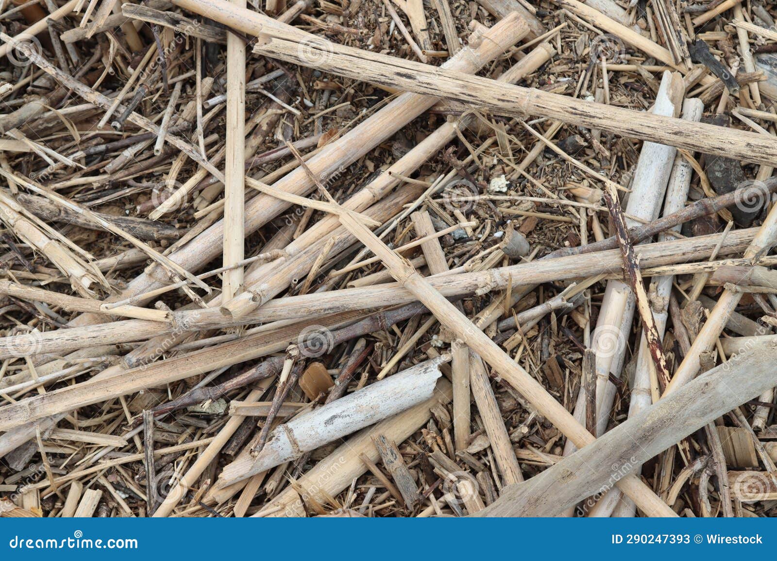 Texture of a Pile of Sticks and Grass Stock Illustration - Illustration ...