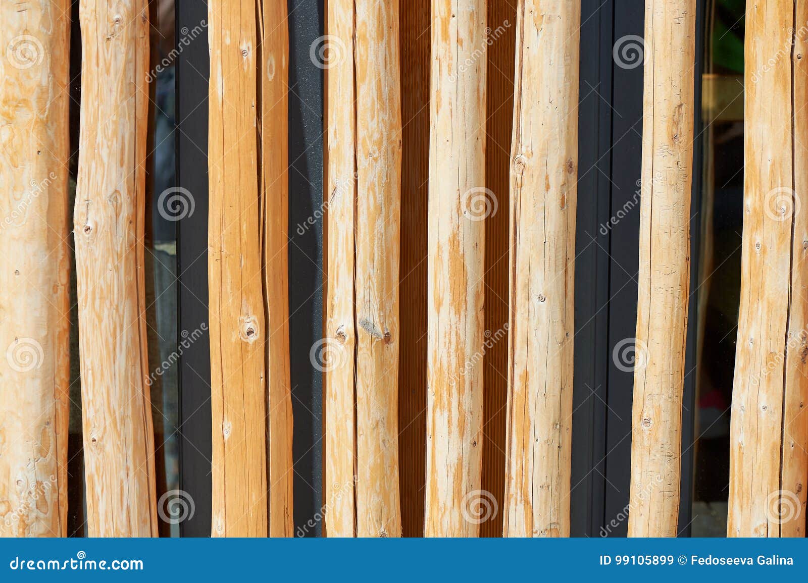 Texture,pine Tree Branches, Arranged in a Single Row. Creative Solution ...