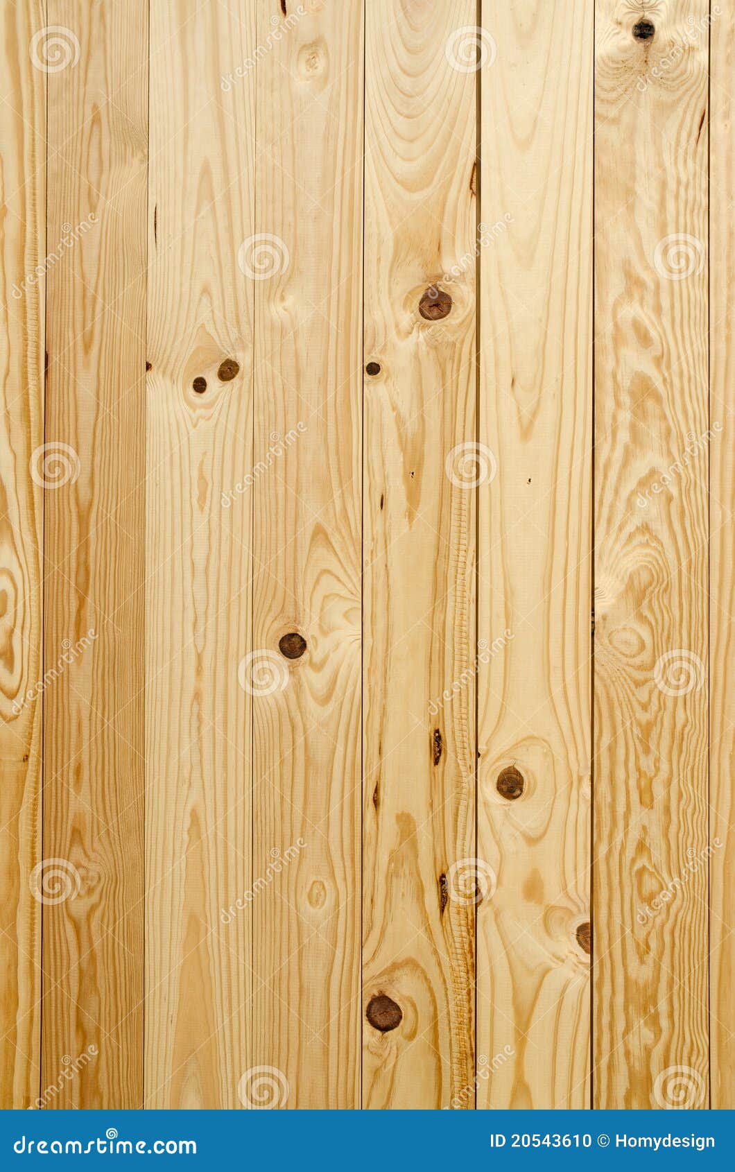 Texture of pine wood stock photo. Image of grain, close - 20543610