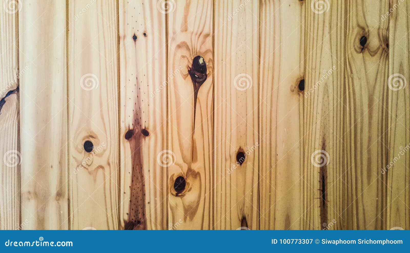 Texture of pine wood wall stock image. Image of abstract - 100773307