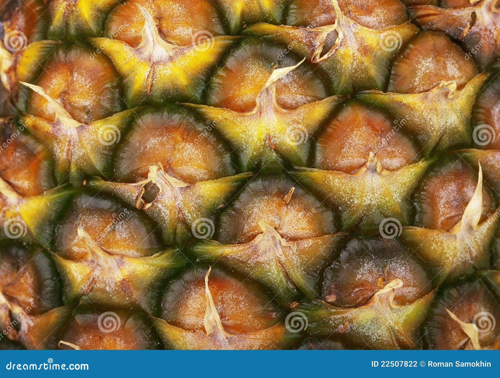 Texture of pineapple stock photo. Image of green, freshness - 22507822