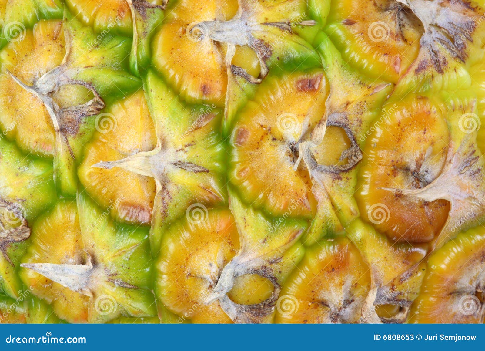 Texture of pineapple. stock image. Image of nature, yellow - 6808653
