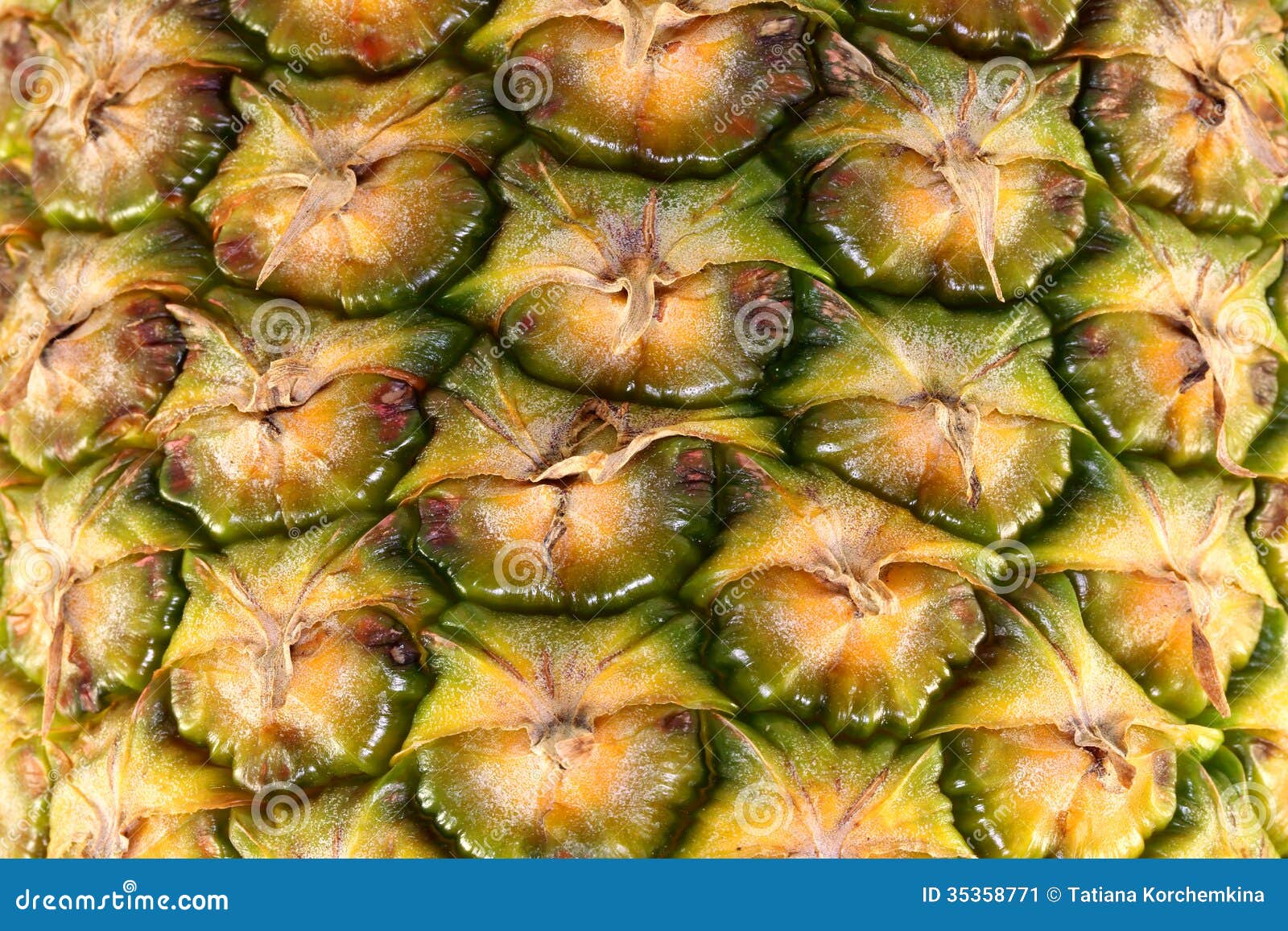 Texture of pineapple peel stock image. Image of vitamins - 35358771