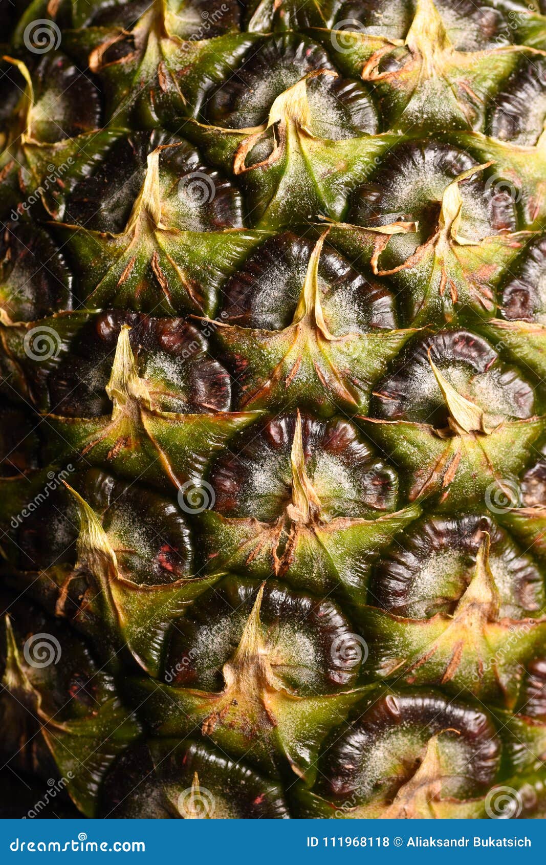 Texture of Pineapple Peel Close-up Stock Photo - Image of juicy ...