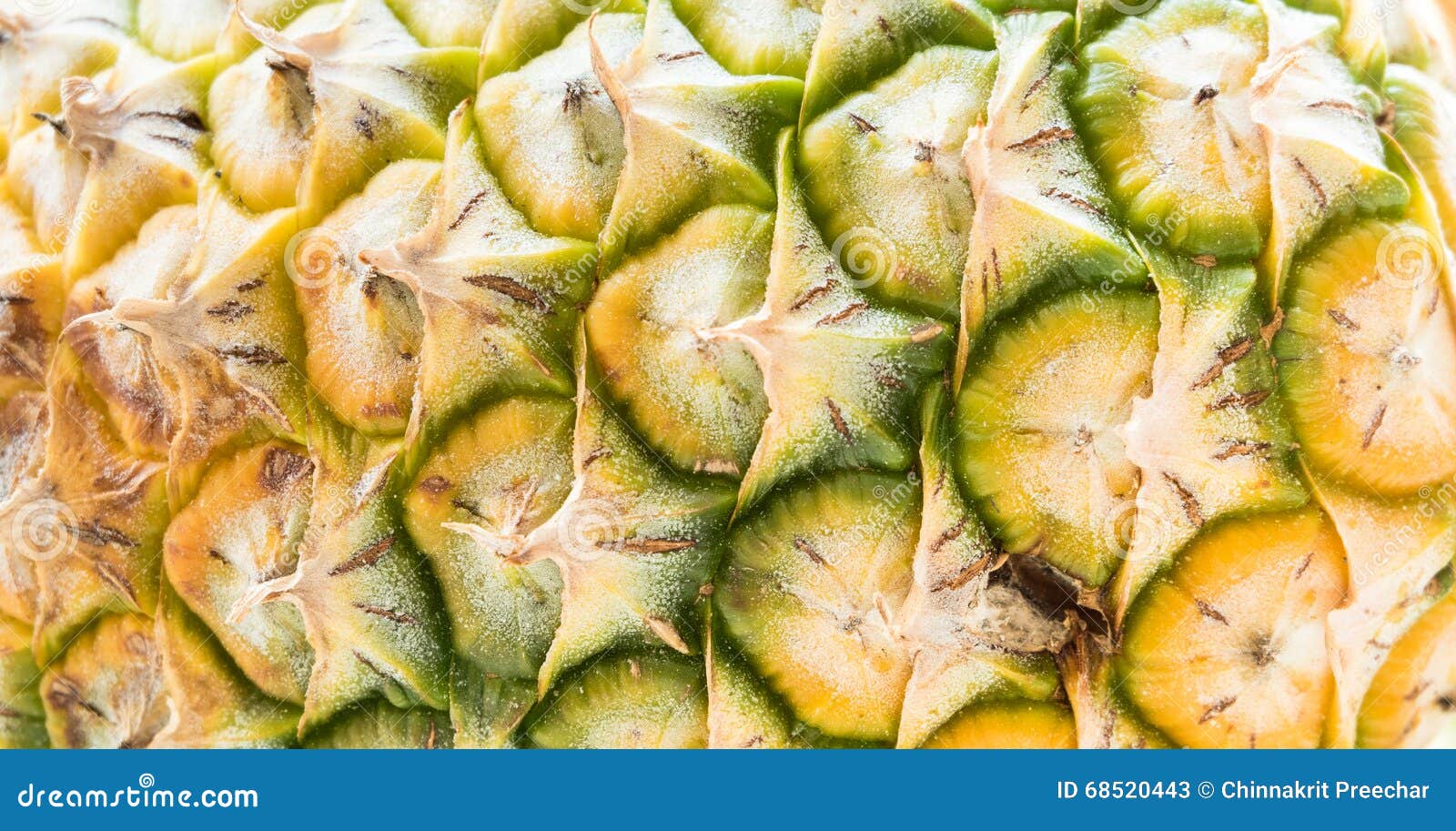 Texture of pineapple skin stock image. Image of dessert - 68520443
