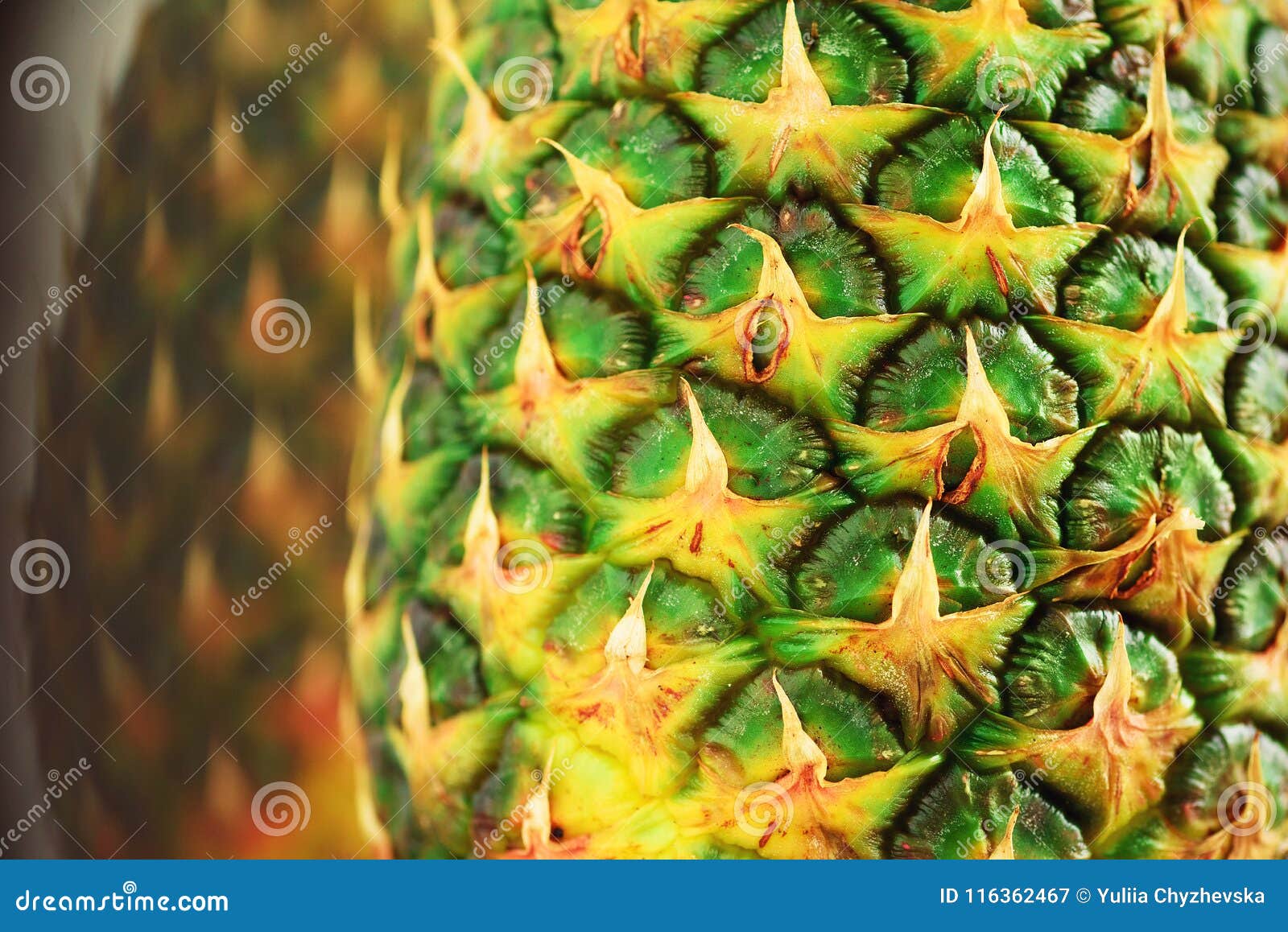 Texture of Pineapple Skin. Copy Space. Beauty and Diet Concept. Macro ...