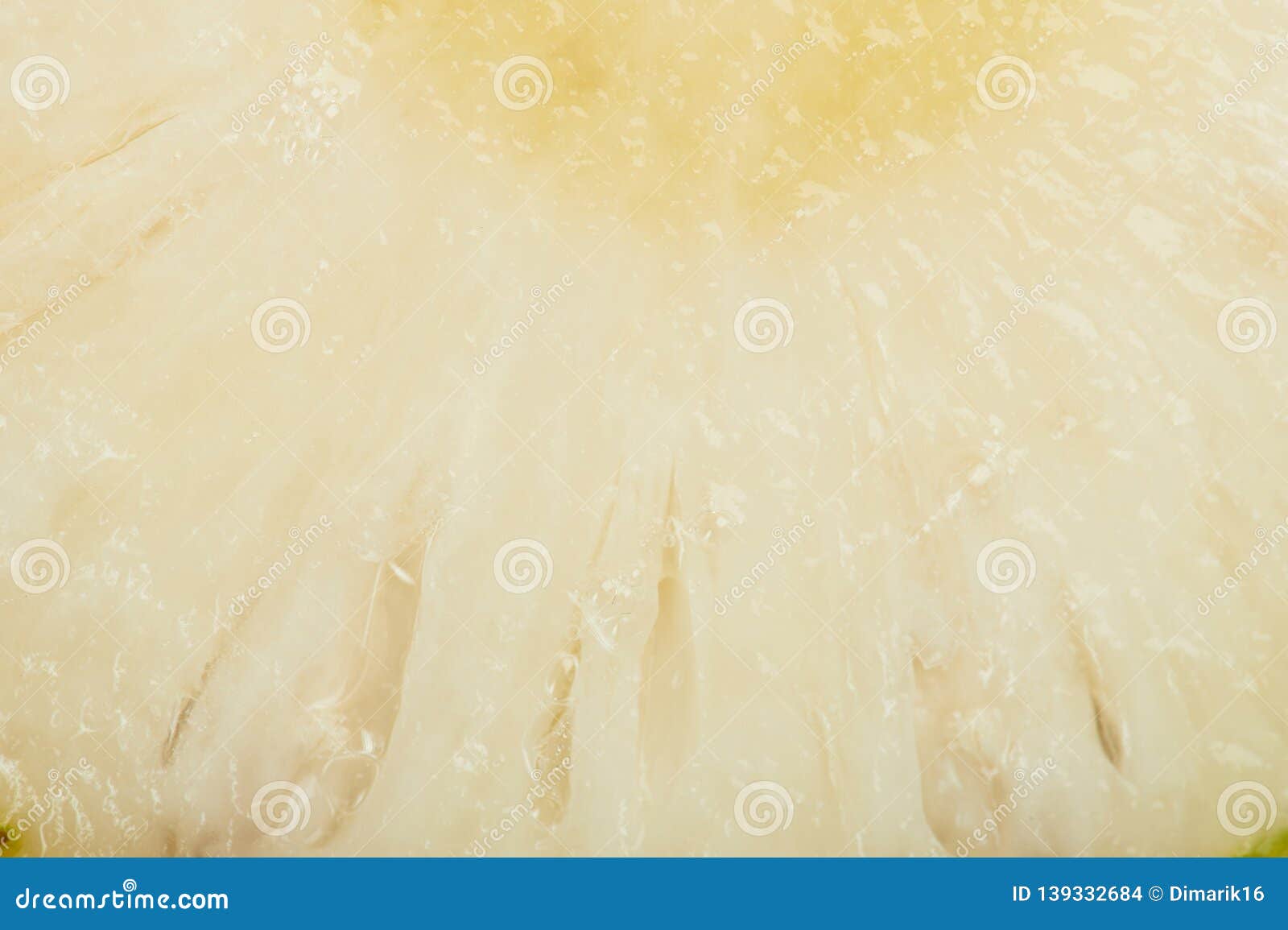 Texture of pineapple slice stock photo. Image of single - 139332684