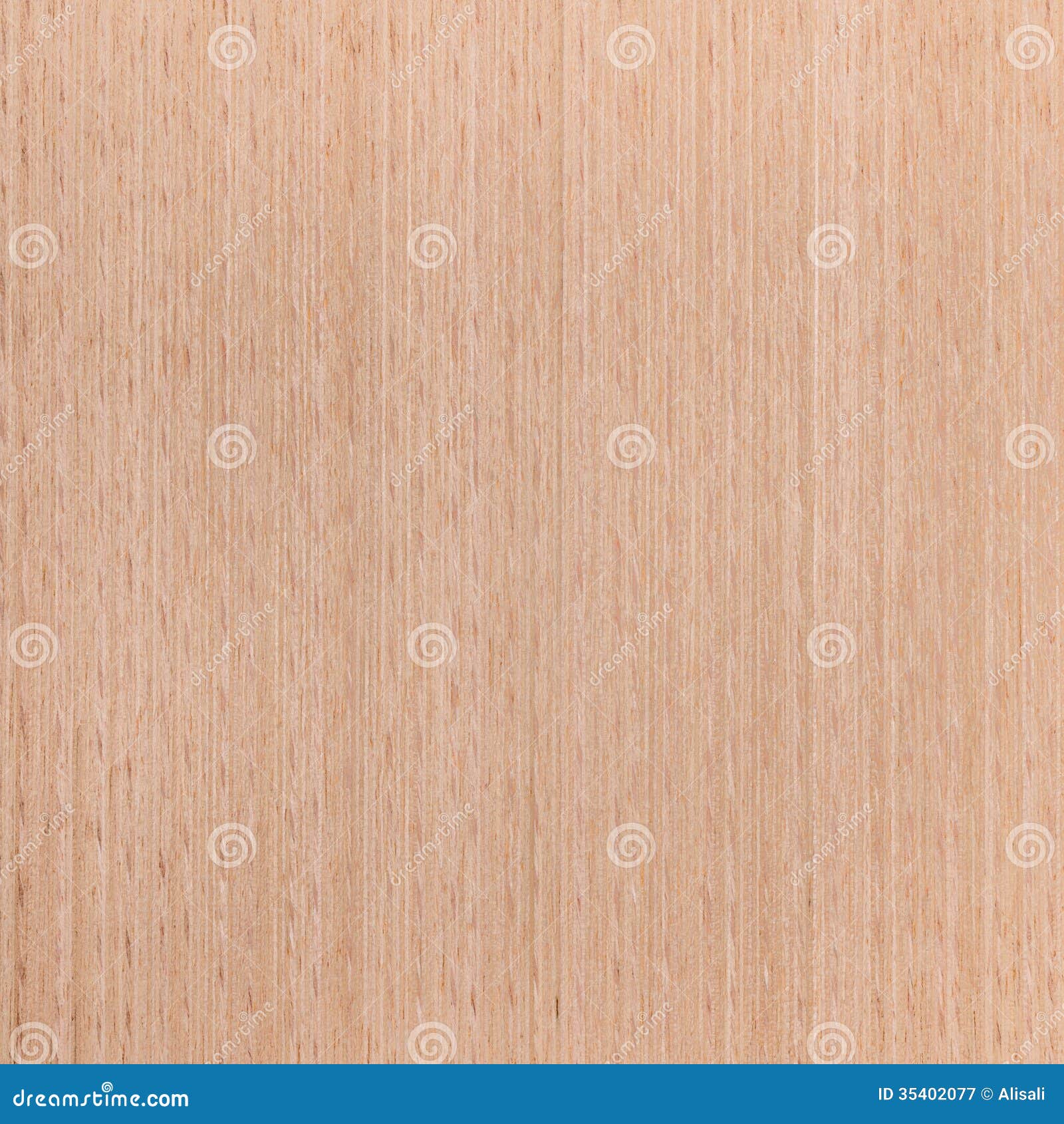 Texture Pink Beech , Wood Grain Stock Image - Image of elegance ...