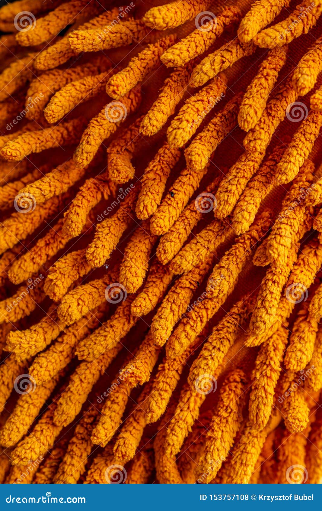 Texture of a Pink Mop Material Stock Photo - Image of close ...