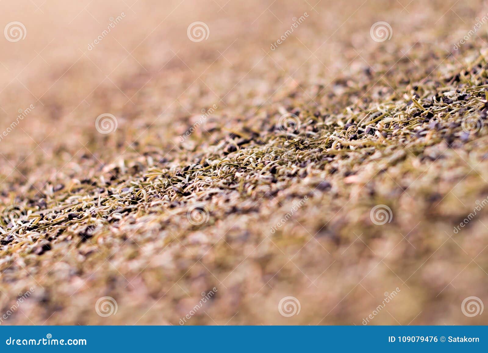 Texture of Plastic Artificial Grass and the Rubber Pellets on Sc Stock ...