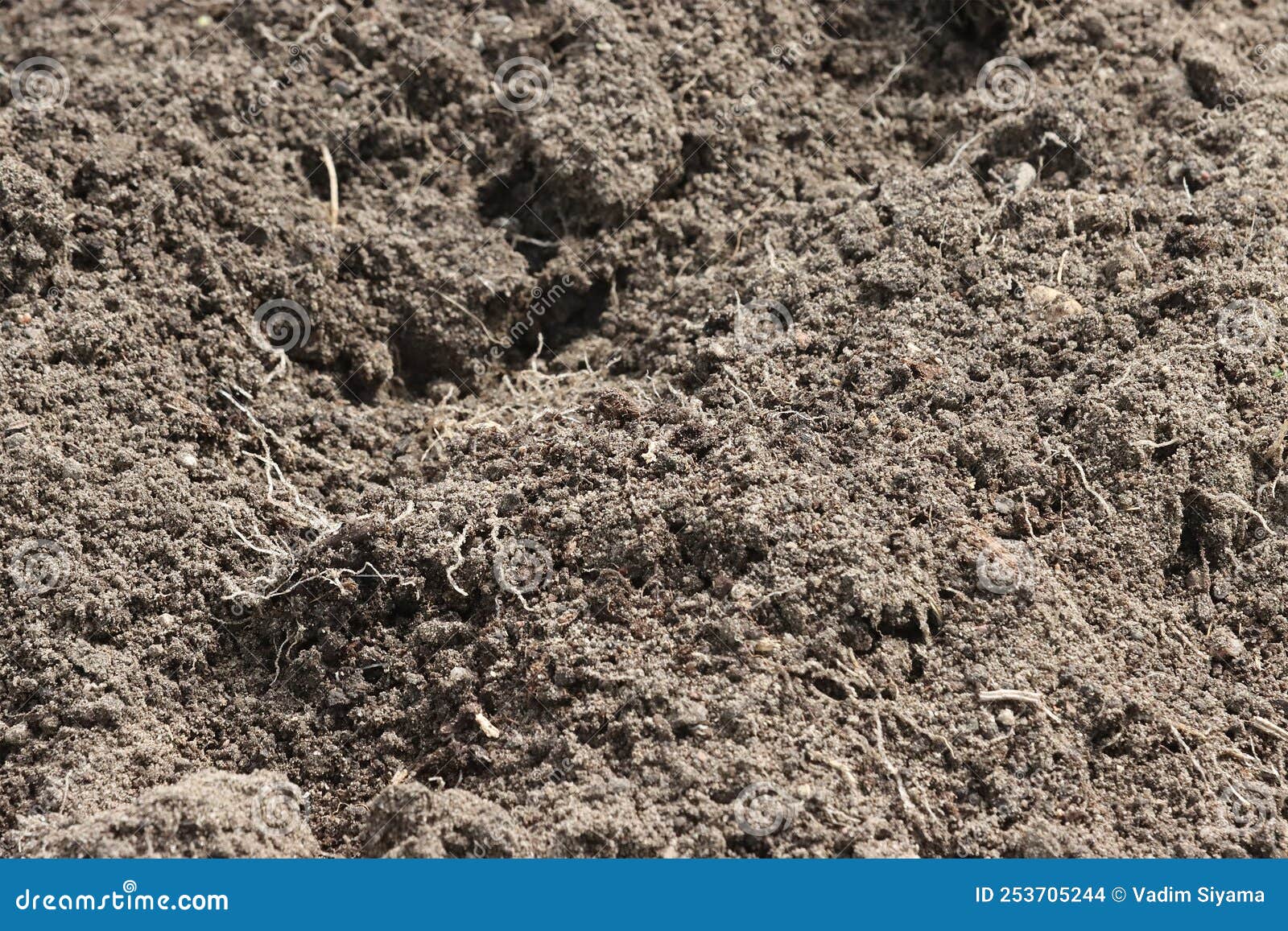 Texture of plowed land stock photo. Image of nature - 253705244