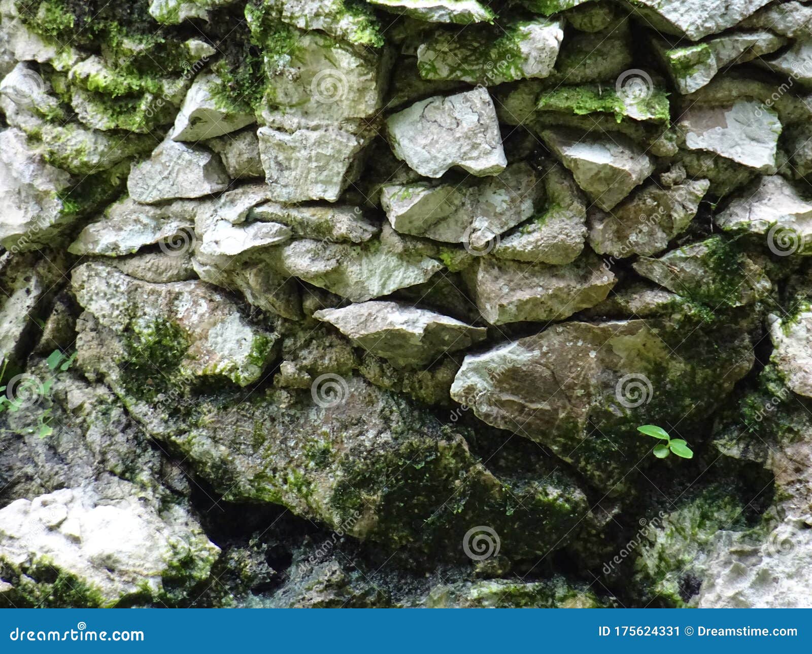 Texture of Pointy Stones with Moss Stock Image - Image of green, dark ...
