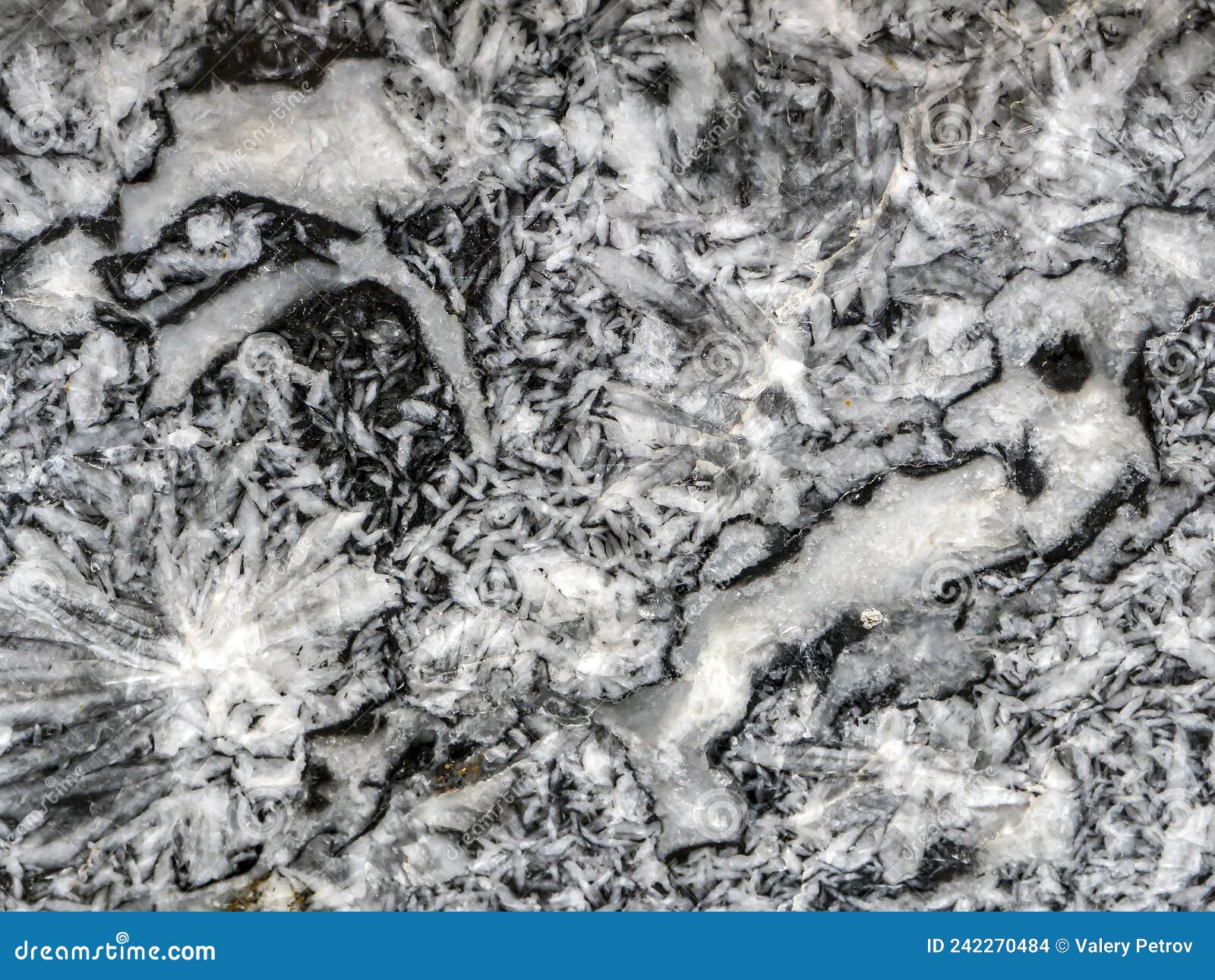 Texture of the Polished Magnesite Tile Surface Stock Photo - Image of ...