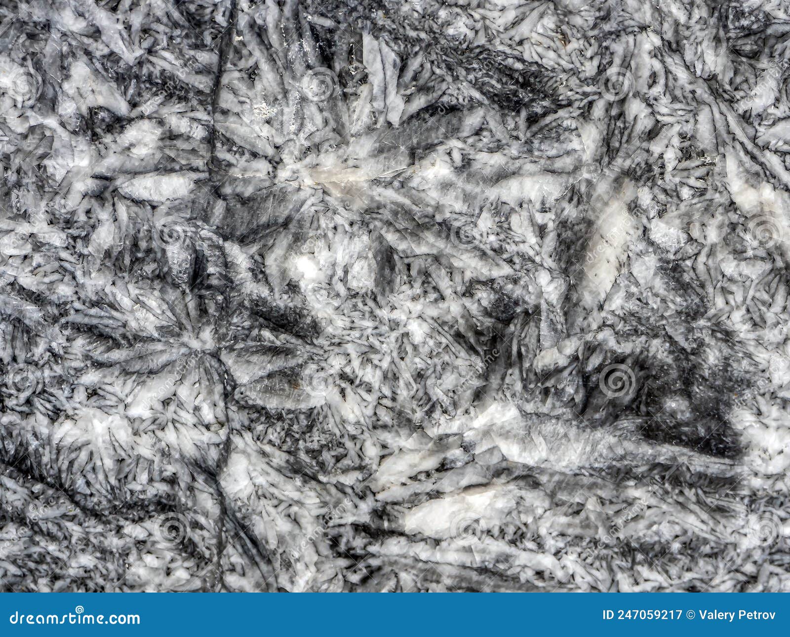 Texture of the Polished Magnesite Tile Surface Stock Image - Image of ...