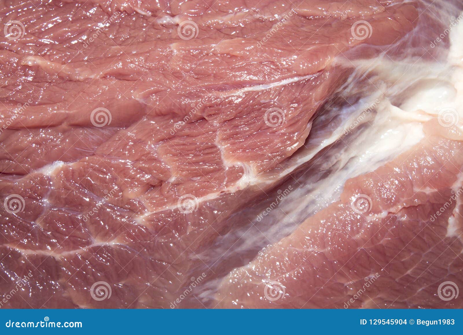 The texture of the pork. stock photo. Image of dinner - 129545904