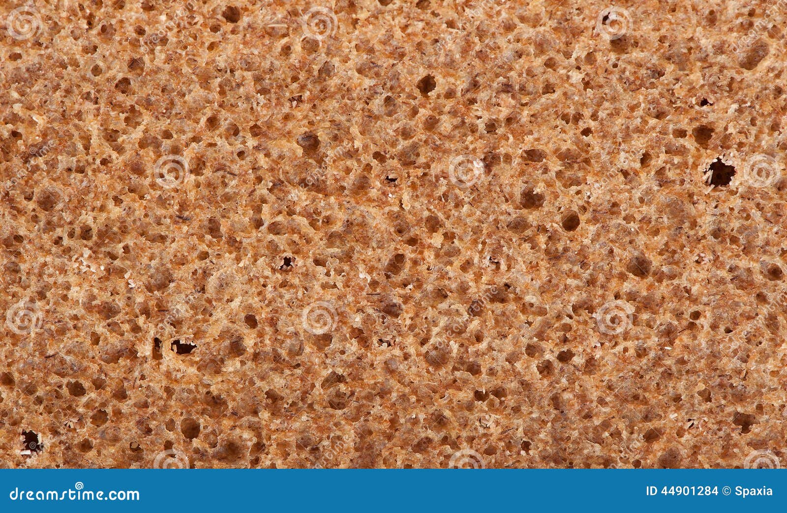 Texture of a Porous Brown Bread Stock Photo - Image of loaf, sponge ...