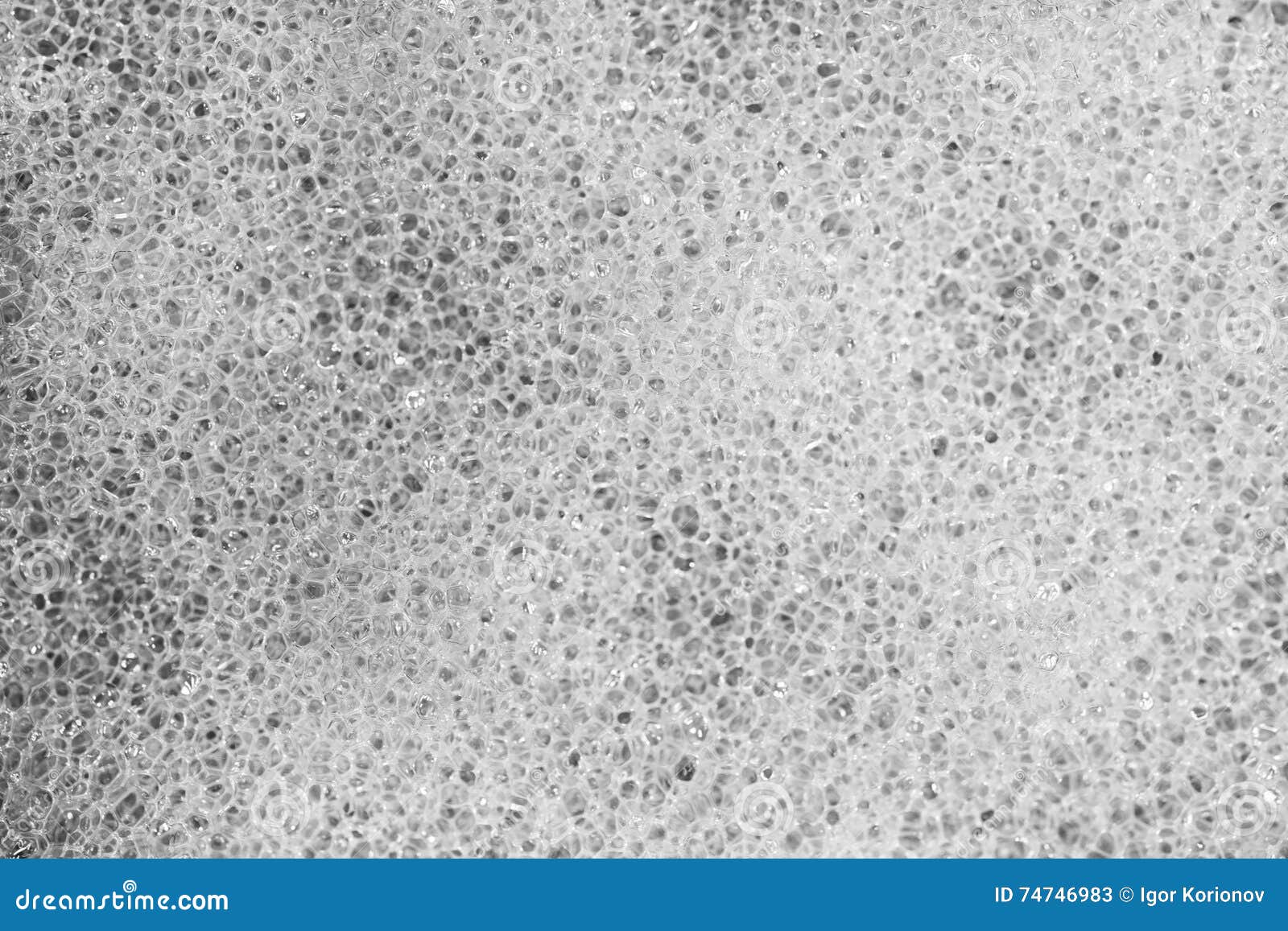 Spongier Stock Photos - Free & Royalty-Free Stock Photos from Dreamstime