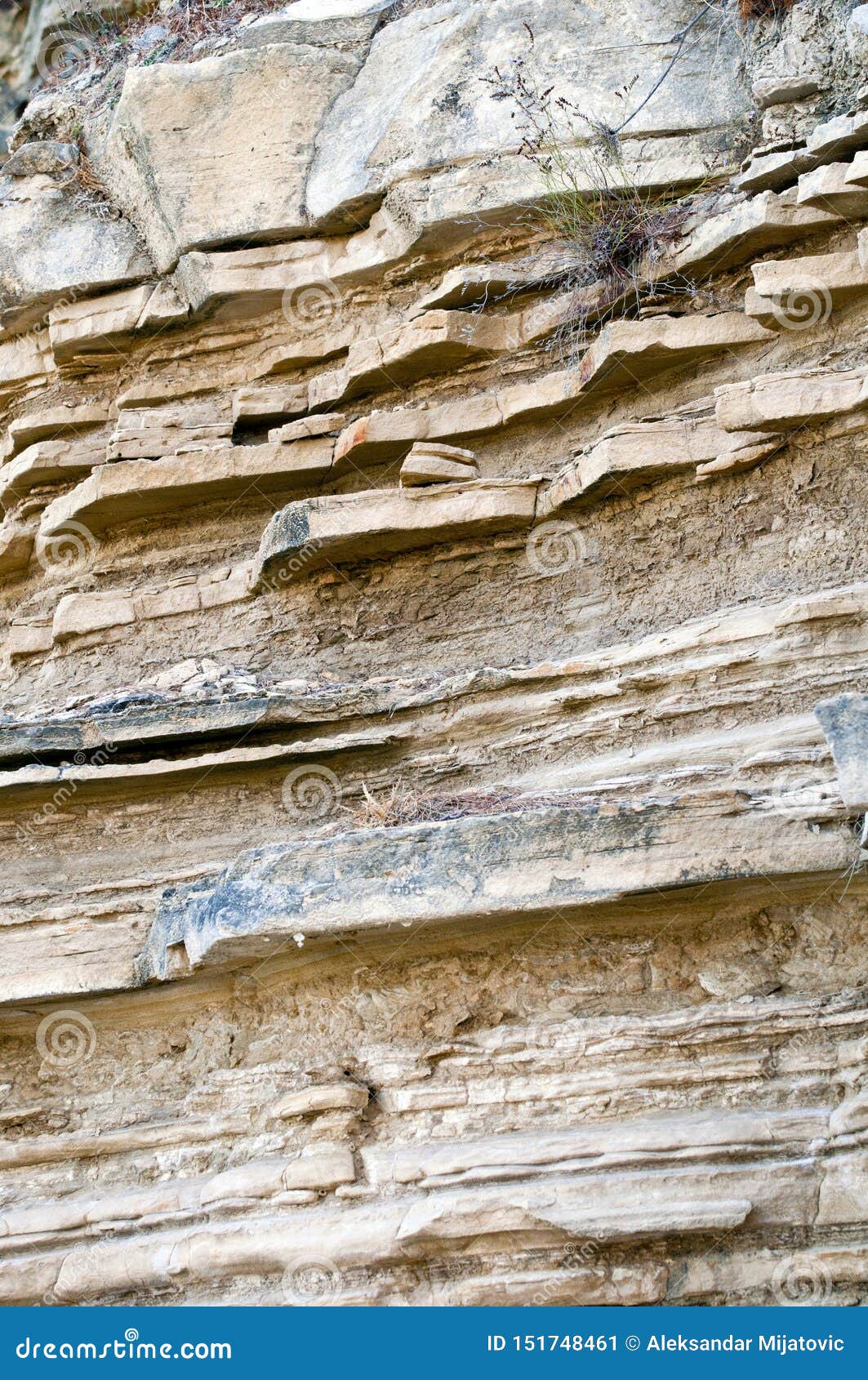 Texture of Prehistorical Alluvial Layers Solidified into Sandstone ...