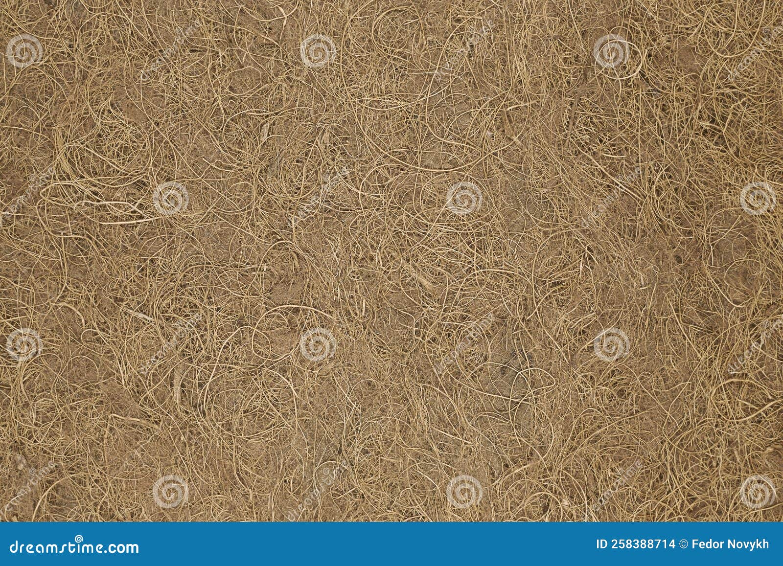 Texture of Pressed Coconut Coir Stock Photo - Image of closeup, coco ...