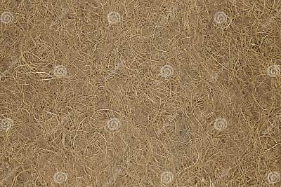 Texture of Pressed Coconut Coir Stock Photo - Image of closeup, coco ...