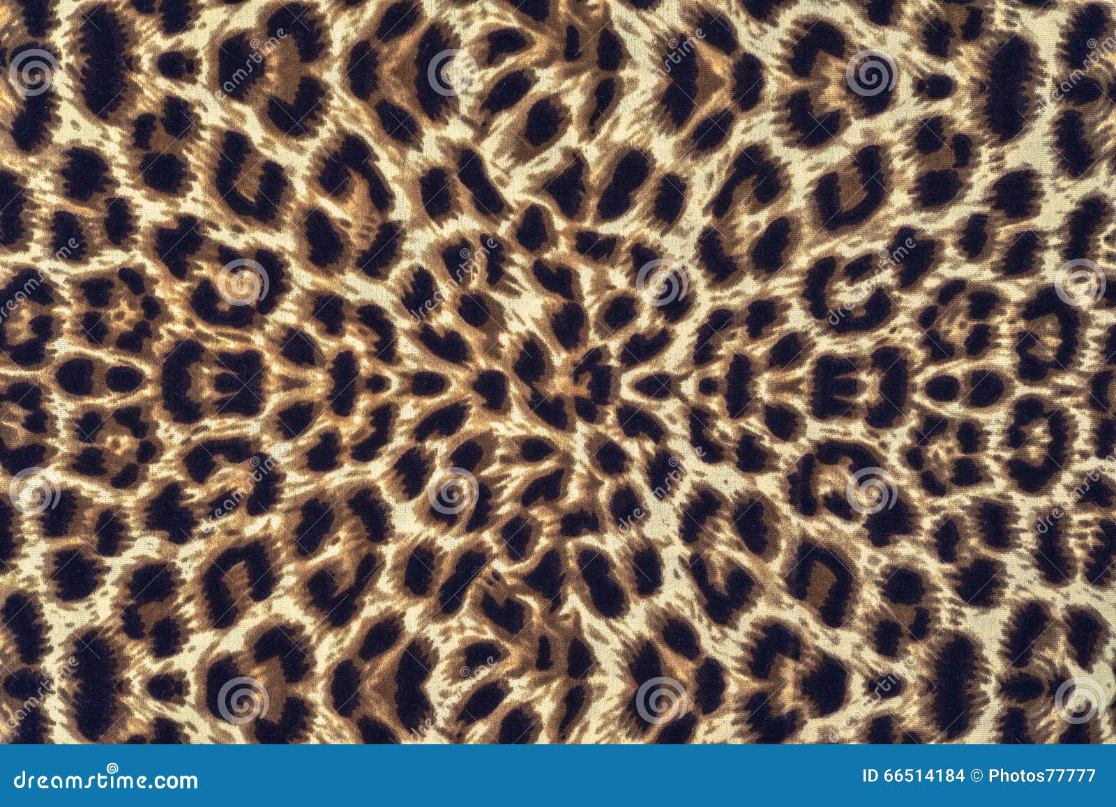 Texture of Print Fabric Striped Leopard Stock Photo - Image of ...