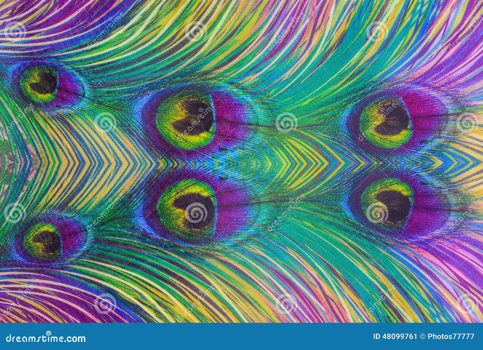 The Texture Of The Peacock Feather In The Tail Stock Photography ...