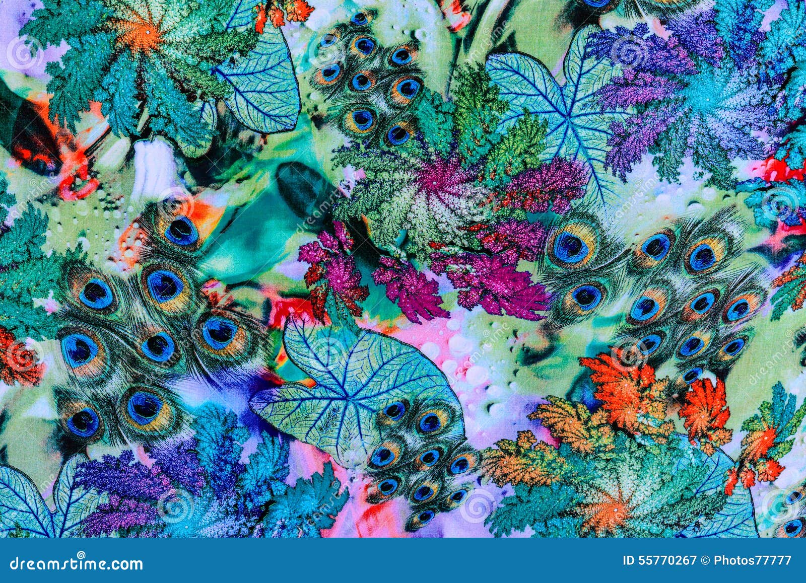 The Texture Of The Peacock Feather In The Tail Stock Photography ...