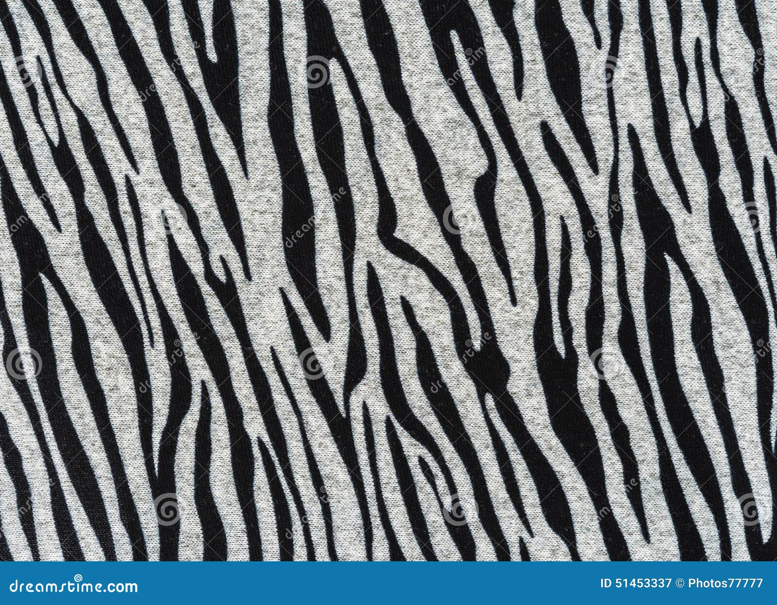 Striped Zebra Fell Backgrounds Stock Photography | CartoonDealer.com ...