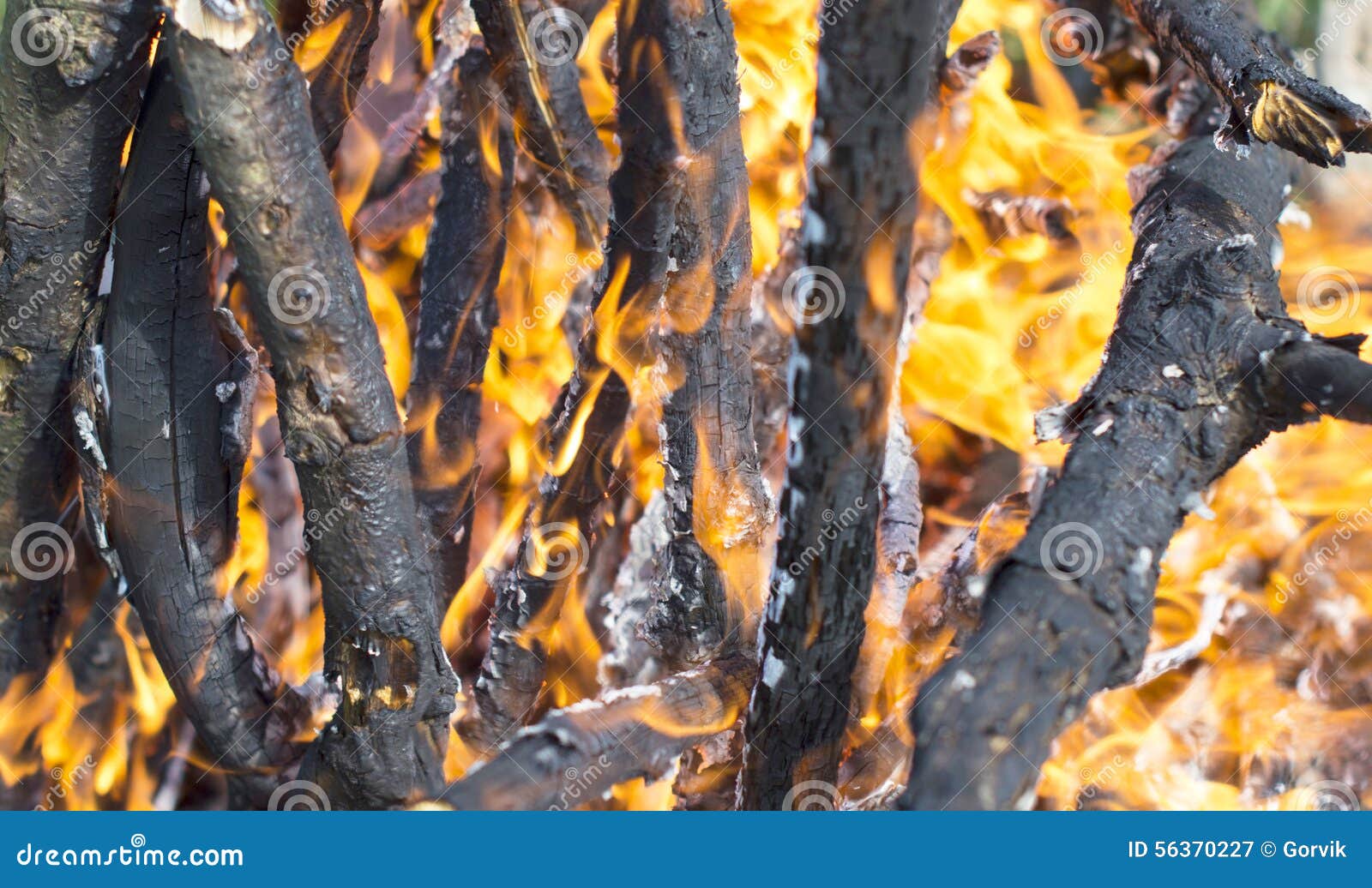 Texture - the Process of Burning Wood Stock Image - Image of heat ...