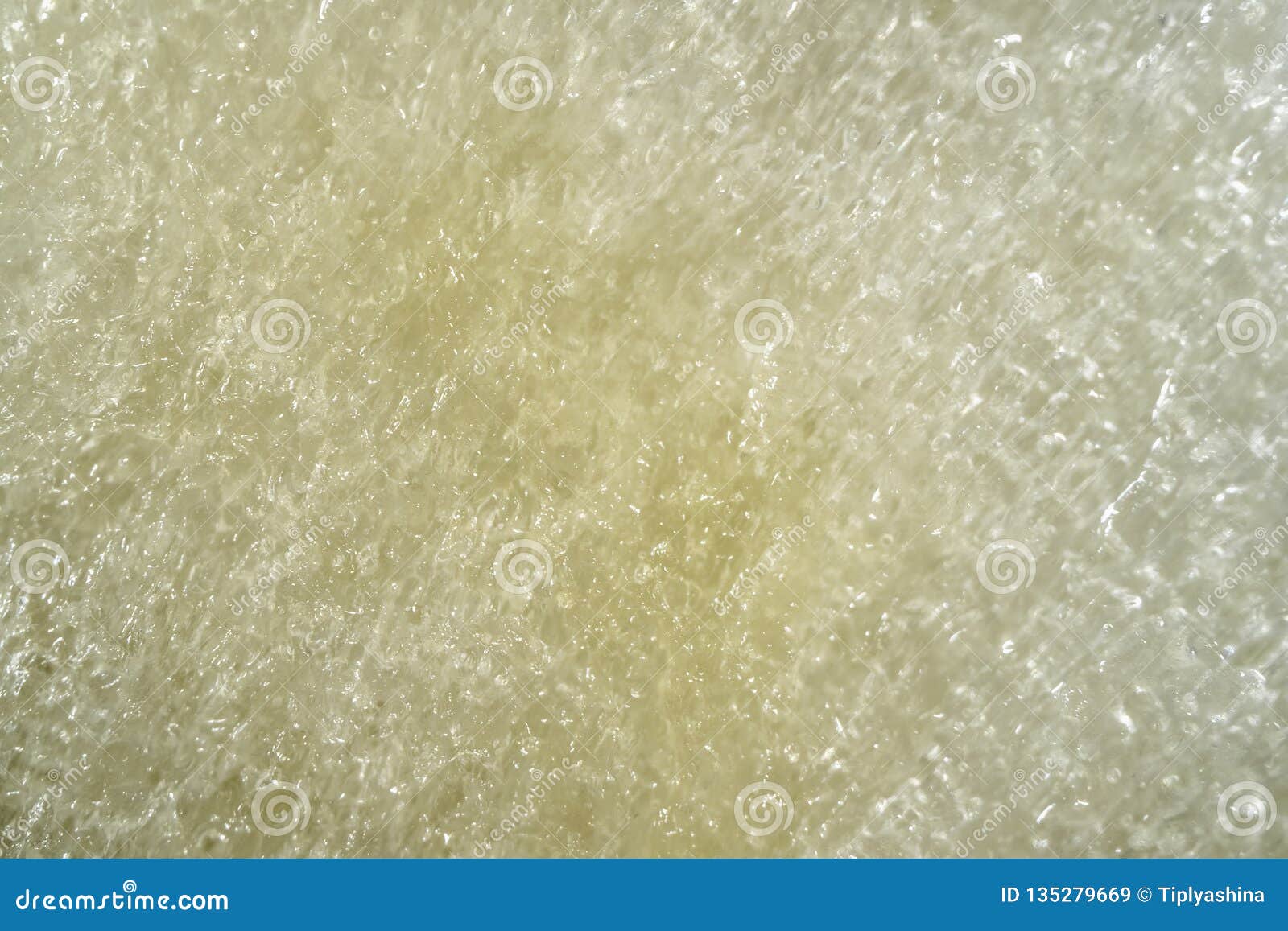 Texture of the Pulp of Citrus Fruit Pompellus, Macro Photography Stock ...
