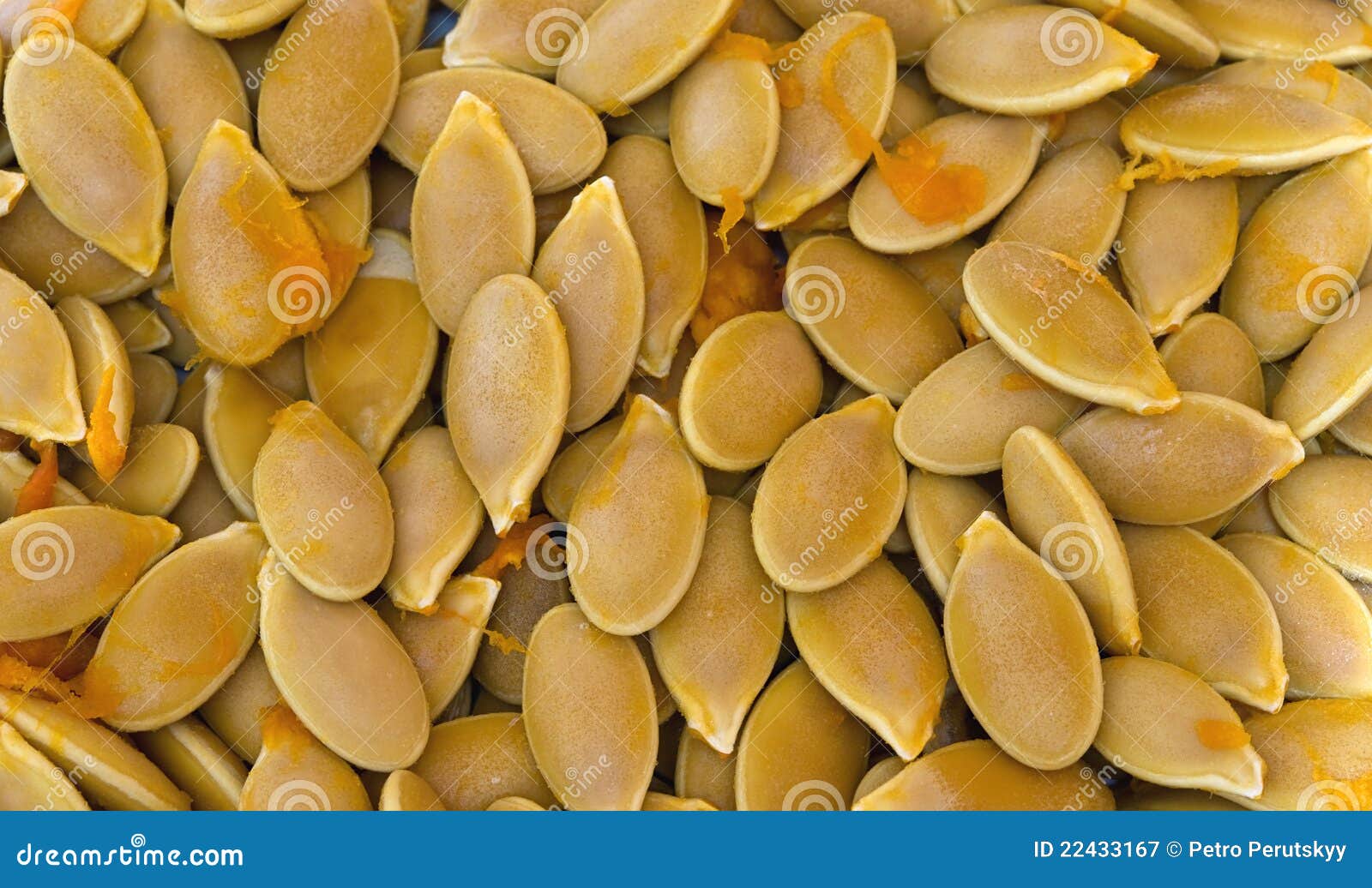 Texture of pumpkin stock image. Image of pile, ripe, food - 22433167