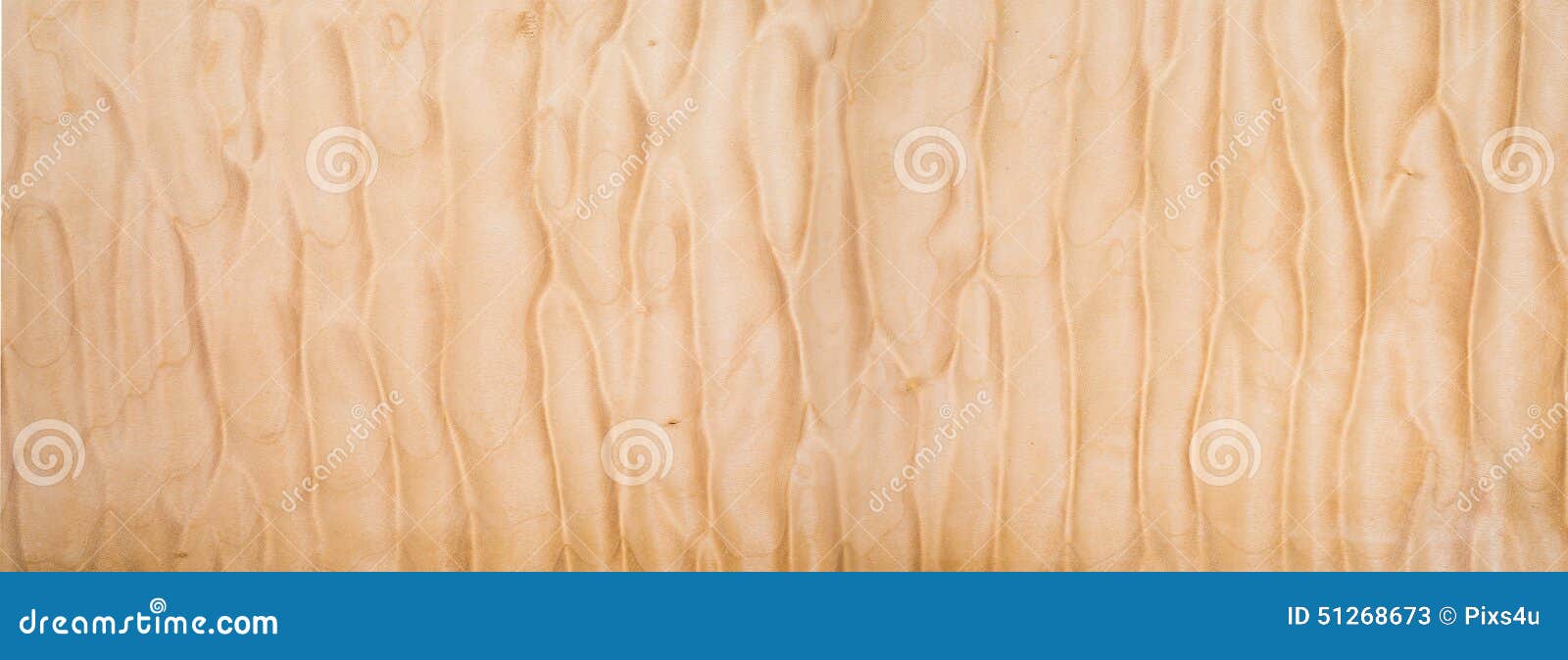 Texture of Quilted Maple stock image. Image of retro - 51268673