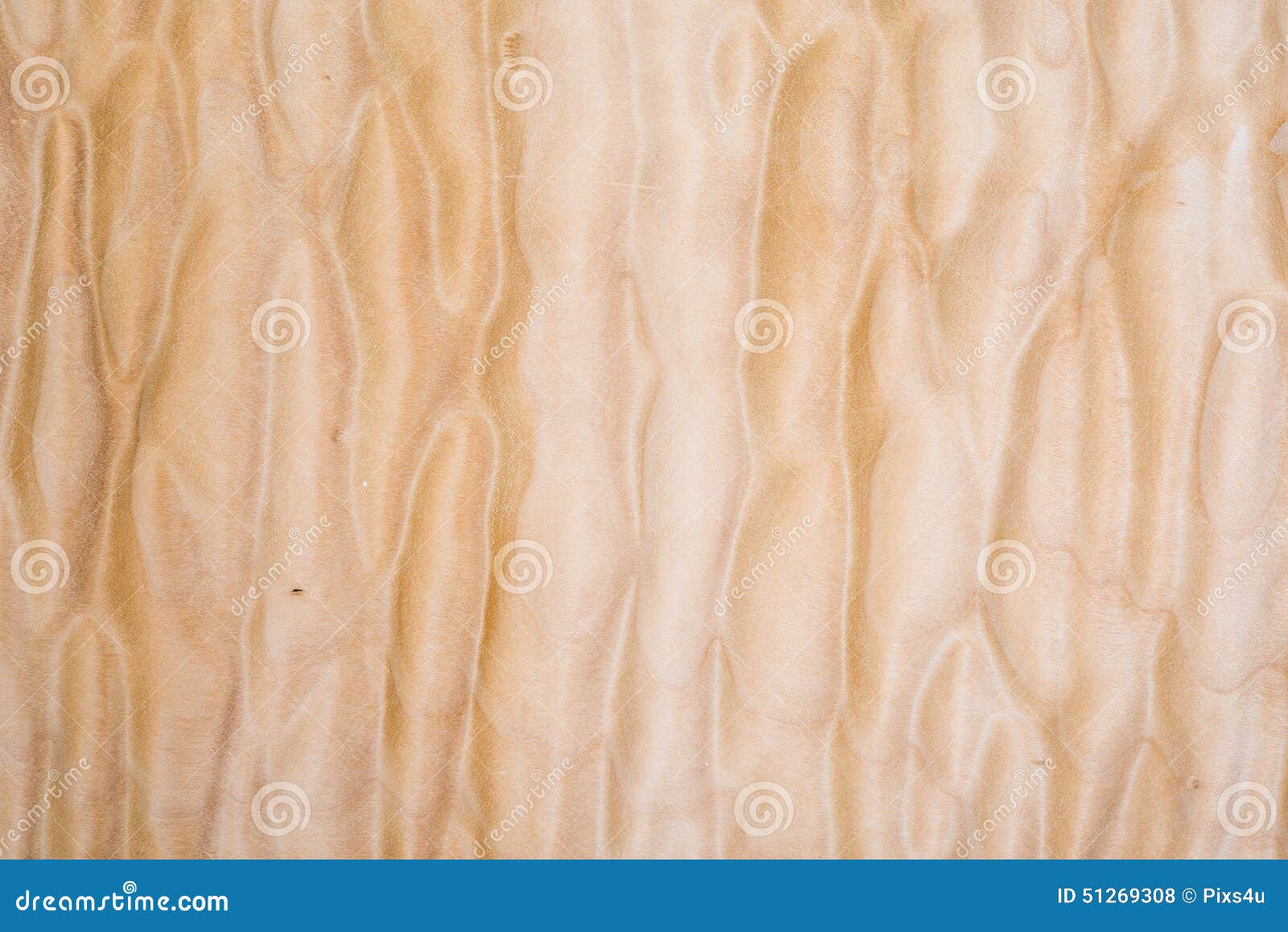 Texture of Quilted Maple stock photo. Image of maple - 51269308