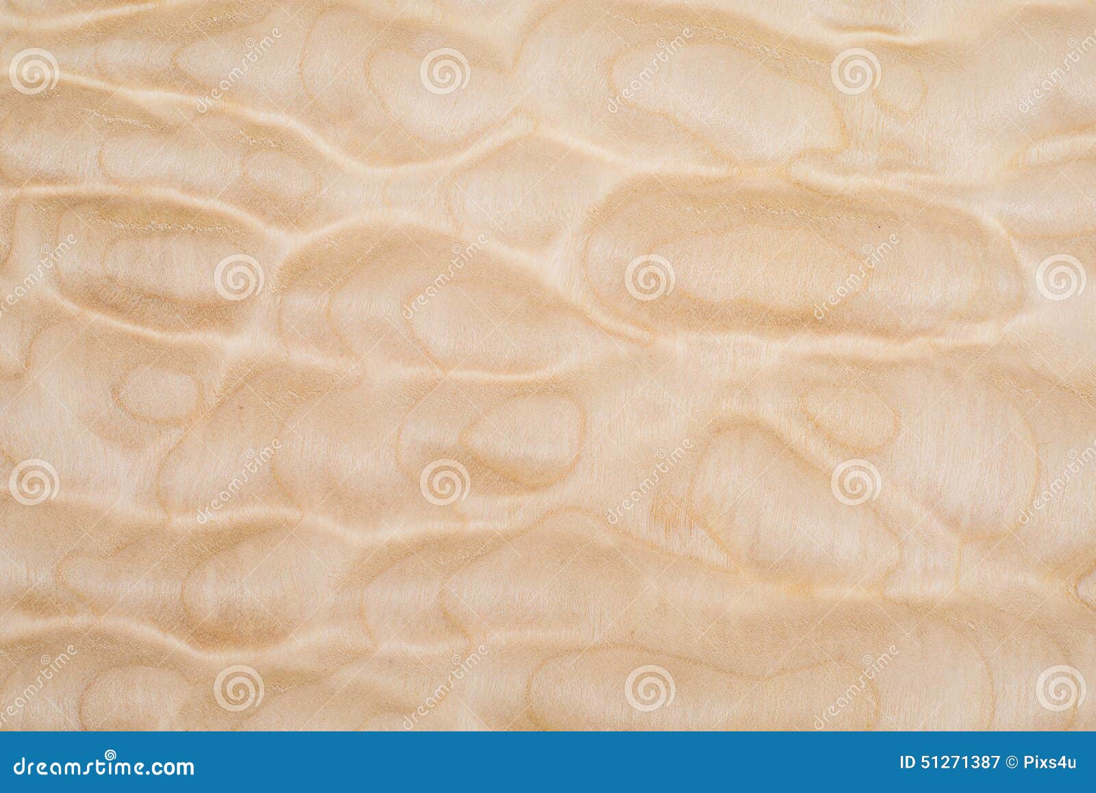 Texture of Quilted Maple stock image. Image of detail - 51271387