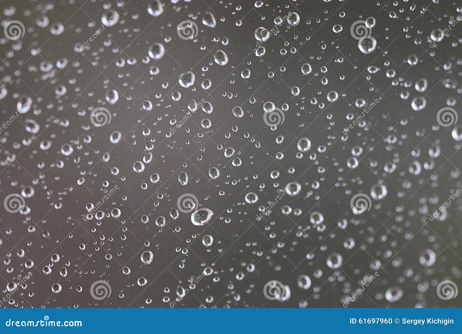 Texture rain drops stock photo. Image of droplets, smooth - 61697960